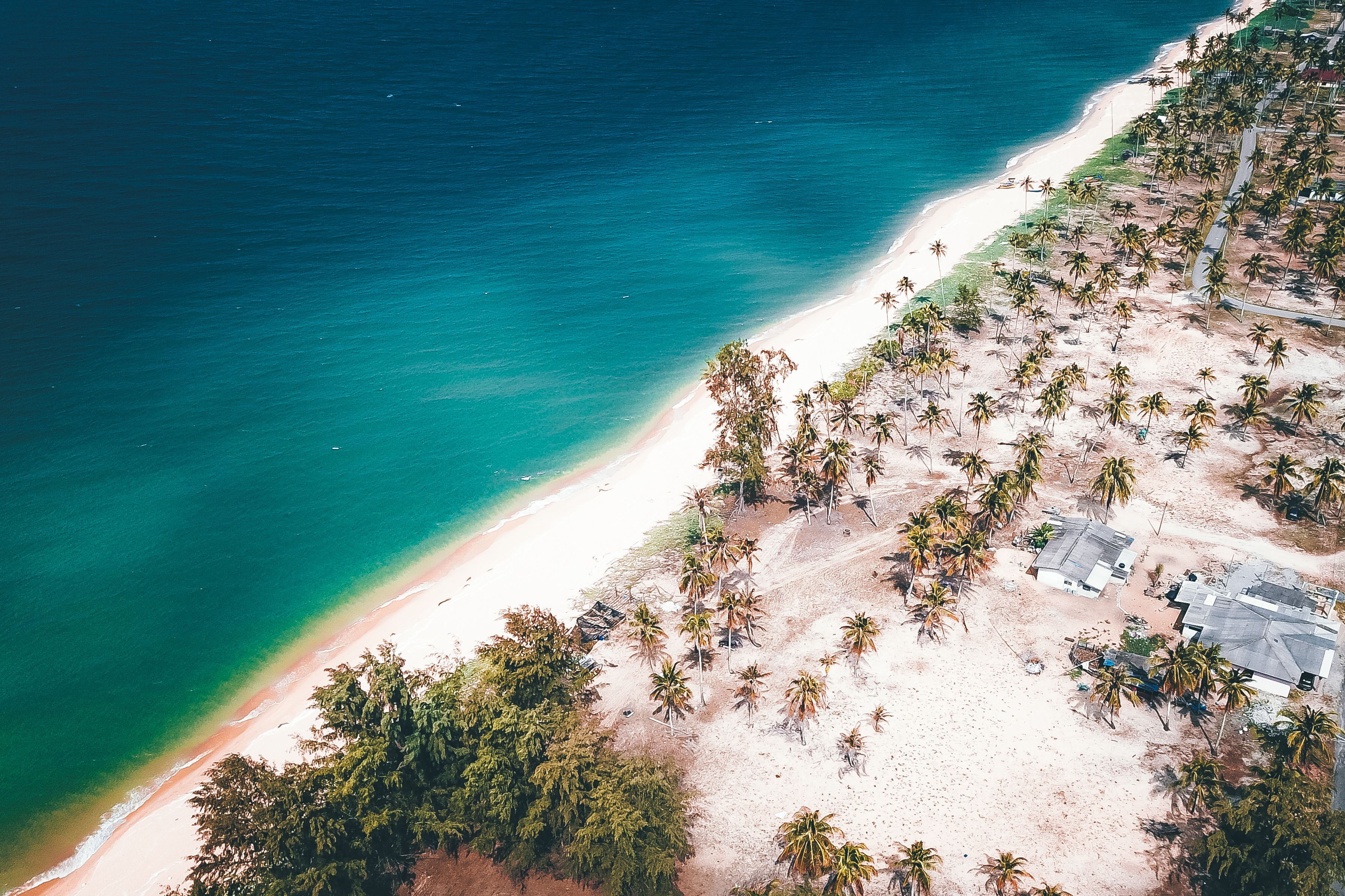 Aerial View of a Beach Area · Free Stock Photo