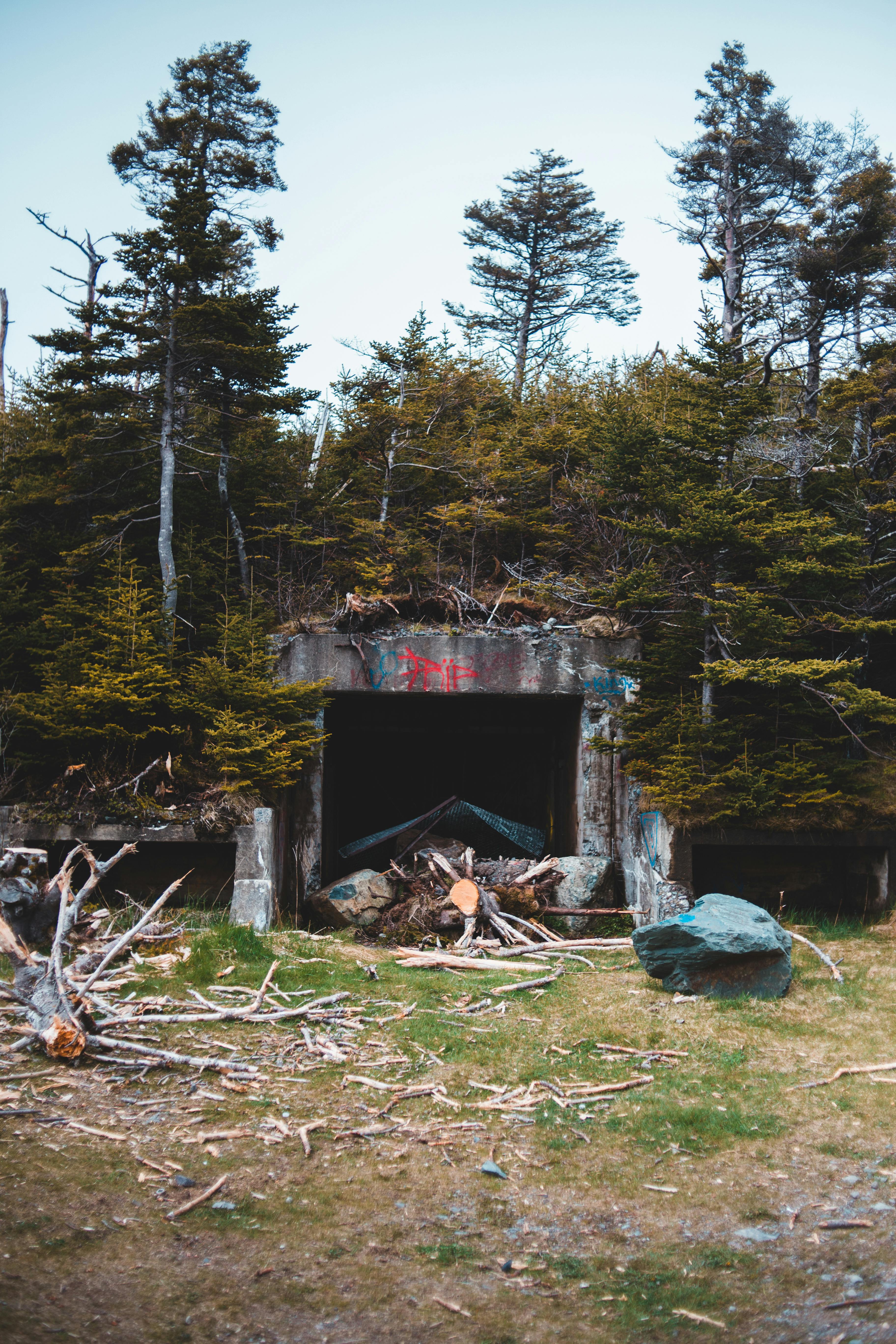 Shabby concrete shack in forest · Free Stock Photo