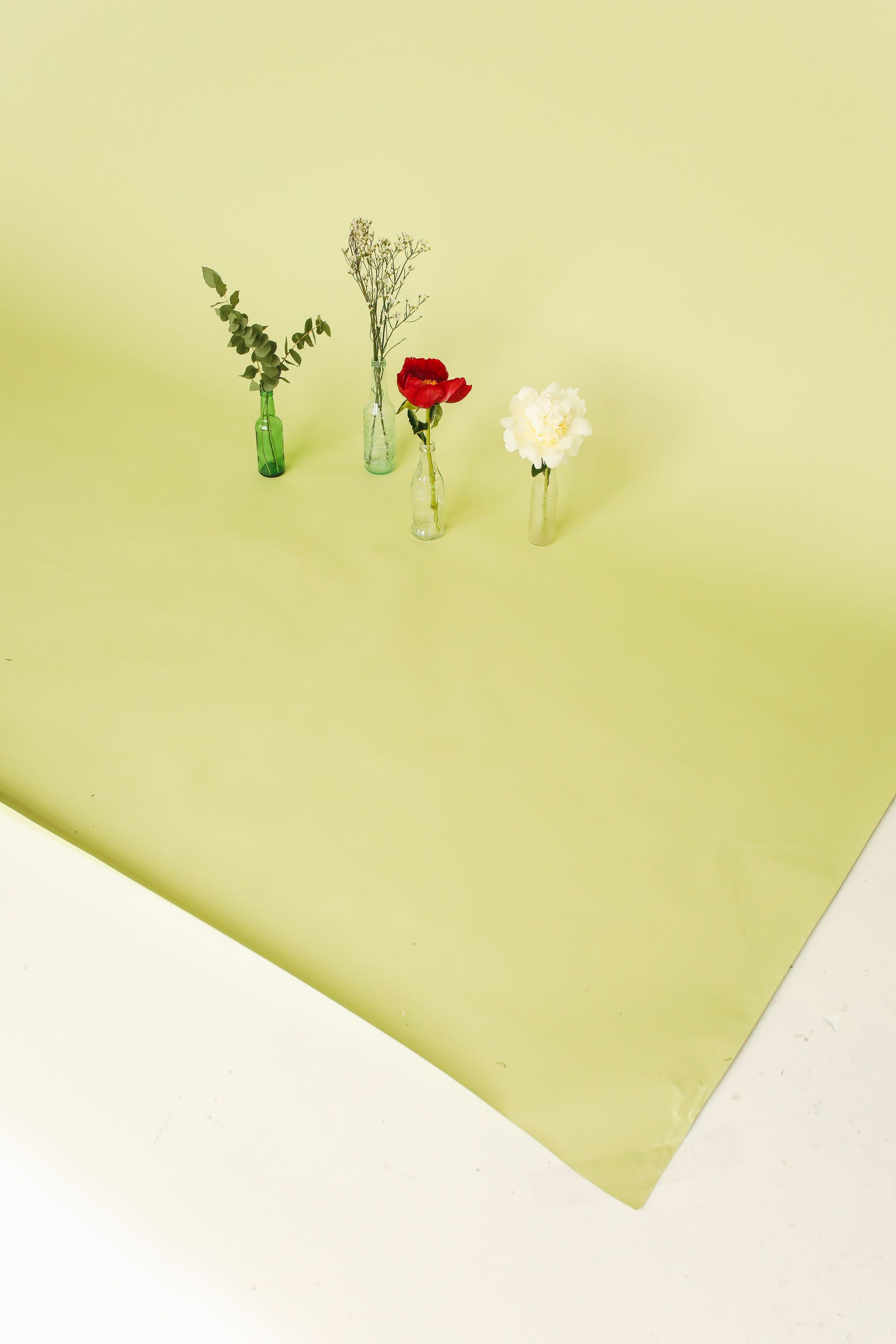 Spring Studio Background Photos, Download The BEST Free Spring Studio ...