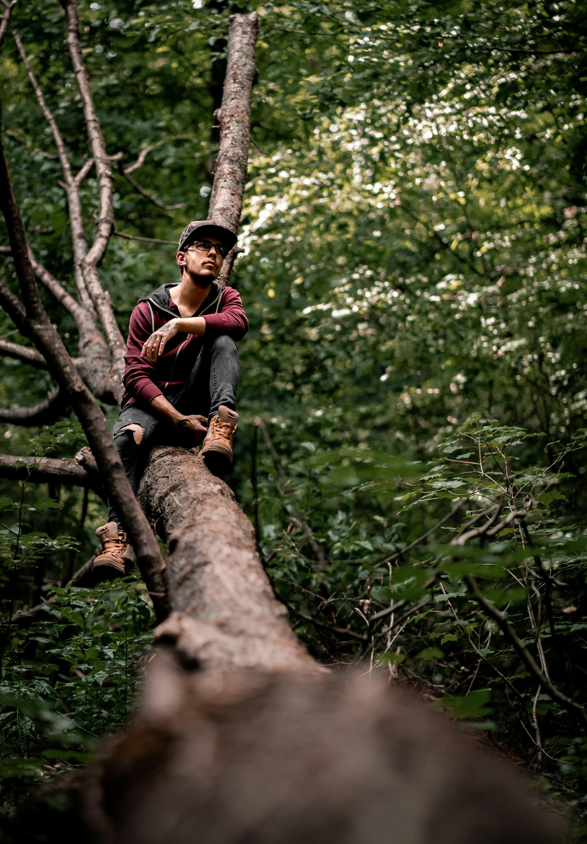 Man Sitting on a Tree · Free Stock Photo