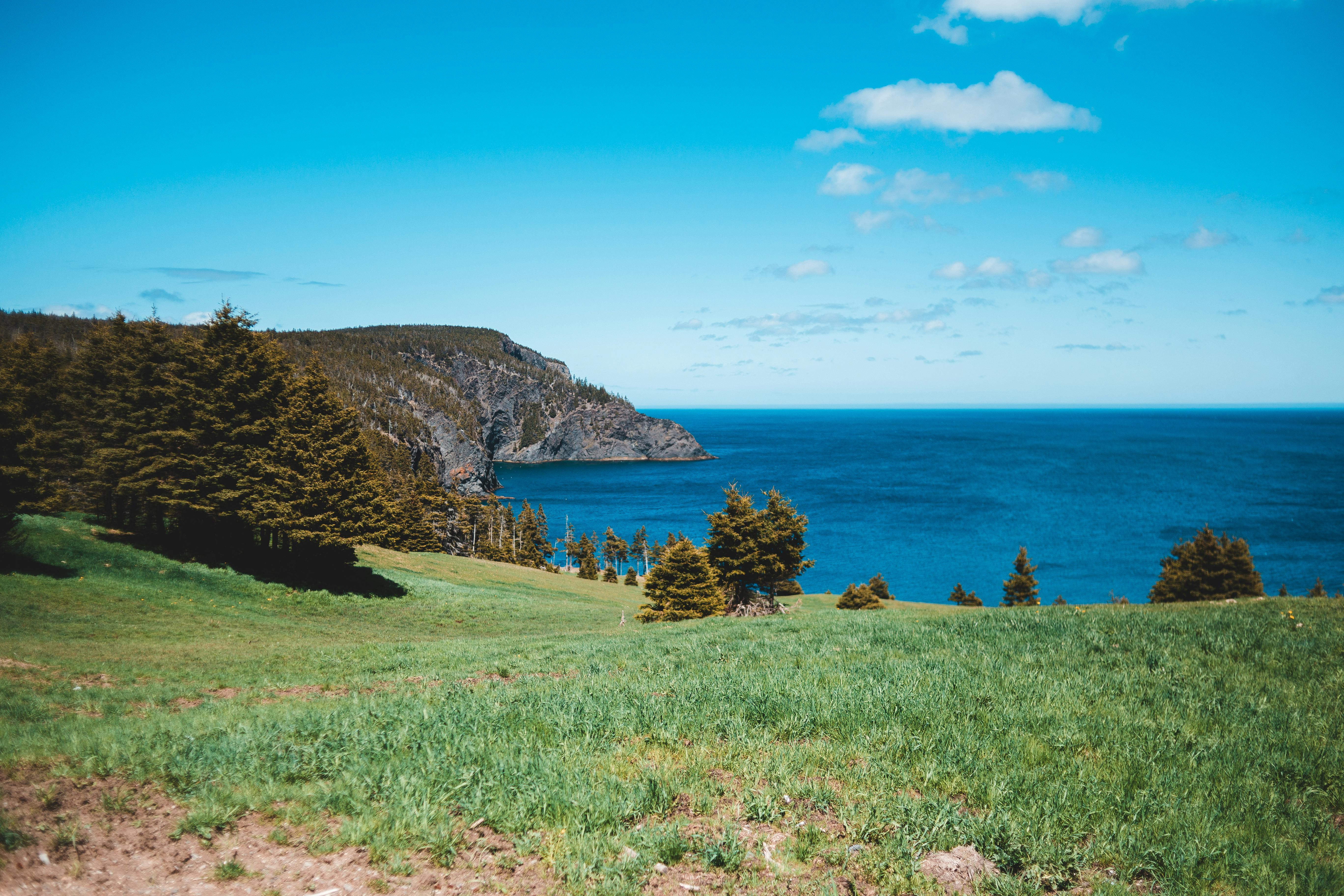Natural landscape with green field and lake · Free Stock Photo