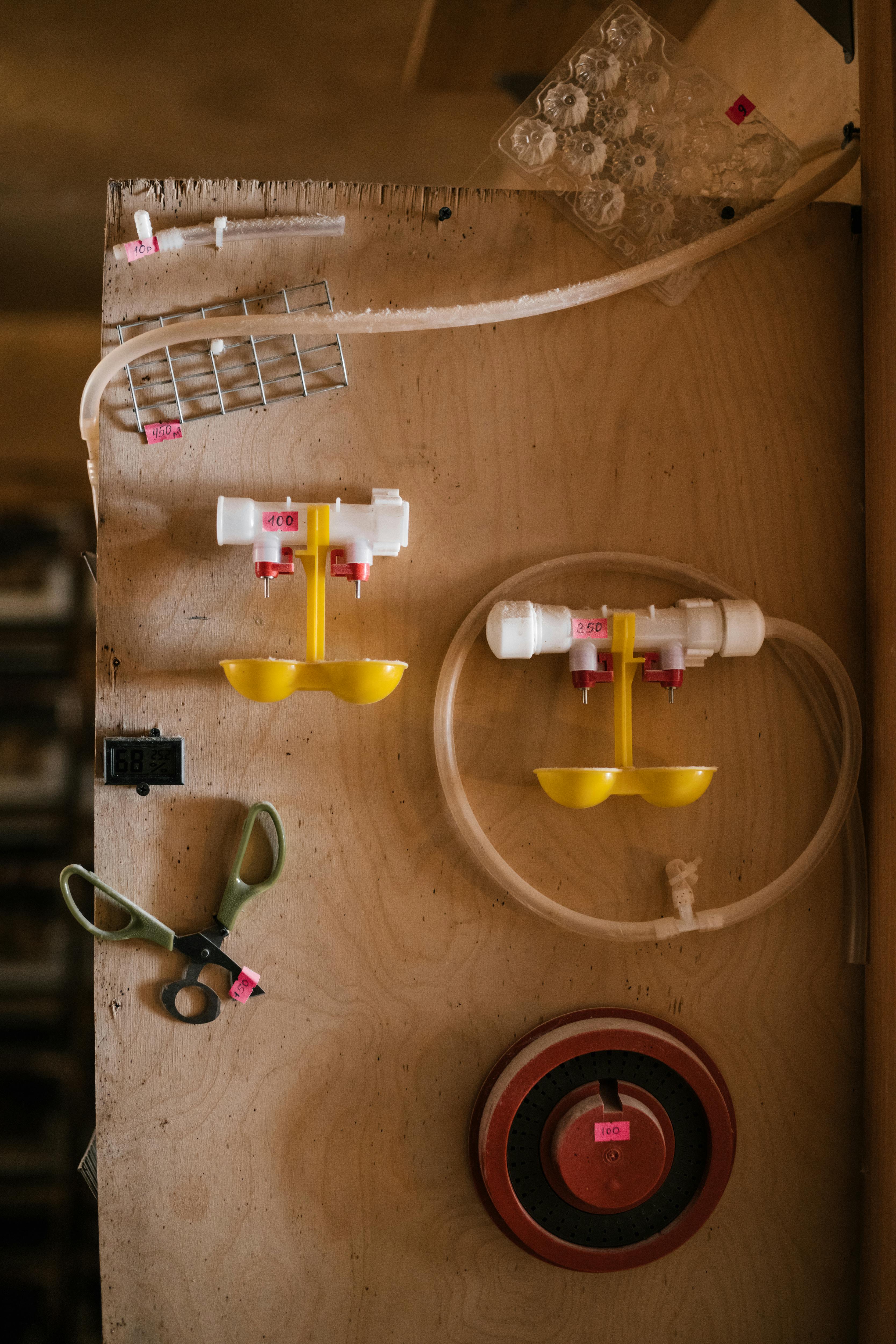 Set of various tools for poultry farm placed on table · Free Stock Photo