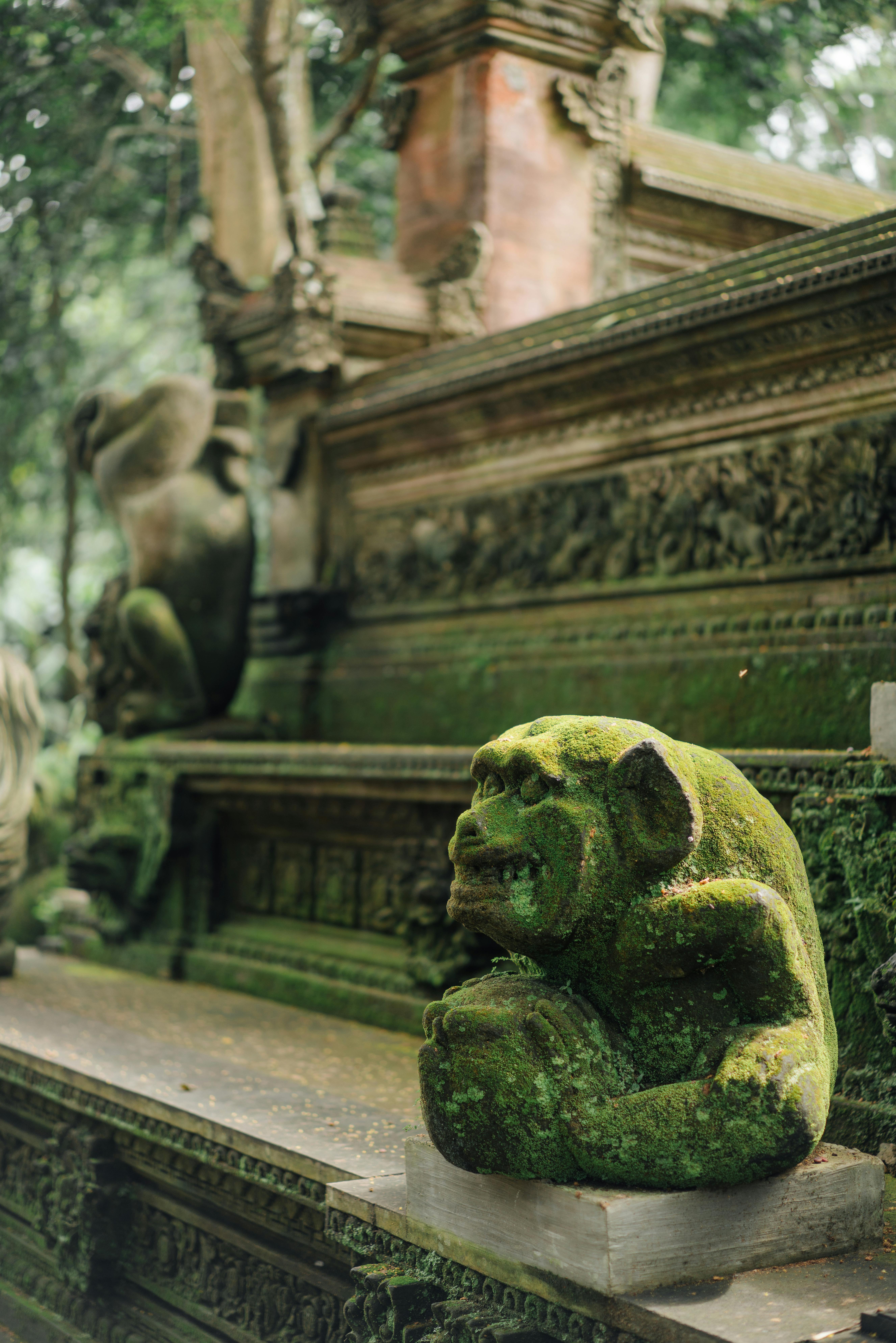 Old mossy monkey statue in tropical garden · Free Stock Photo