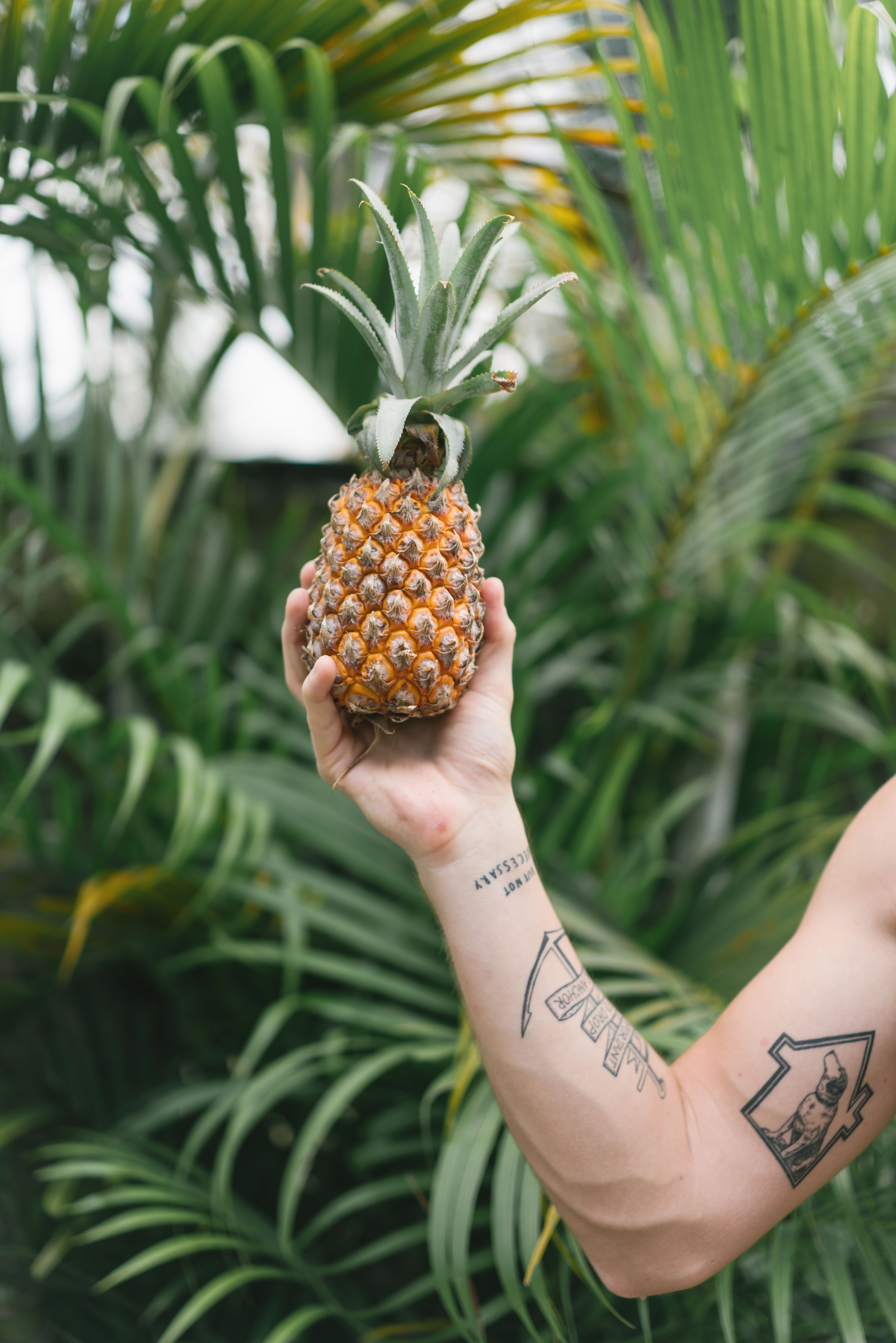Crop male tourist with whole pineapples in hands · Free Stock Photo