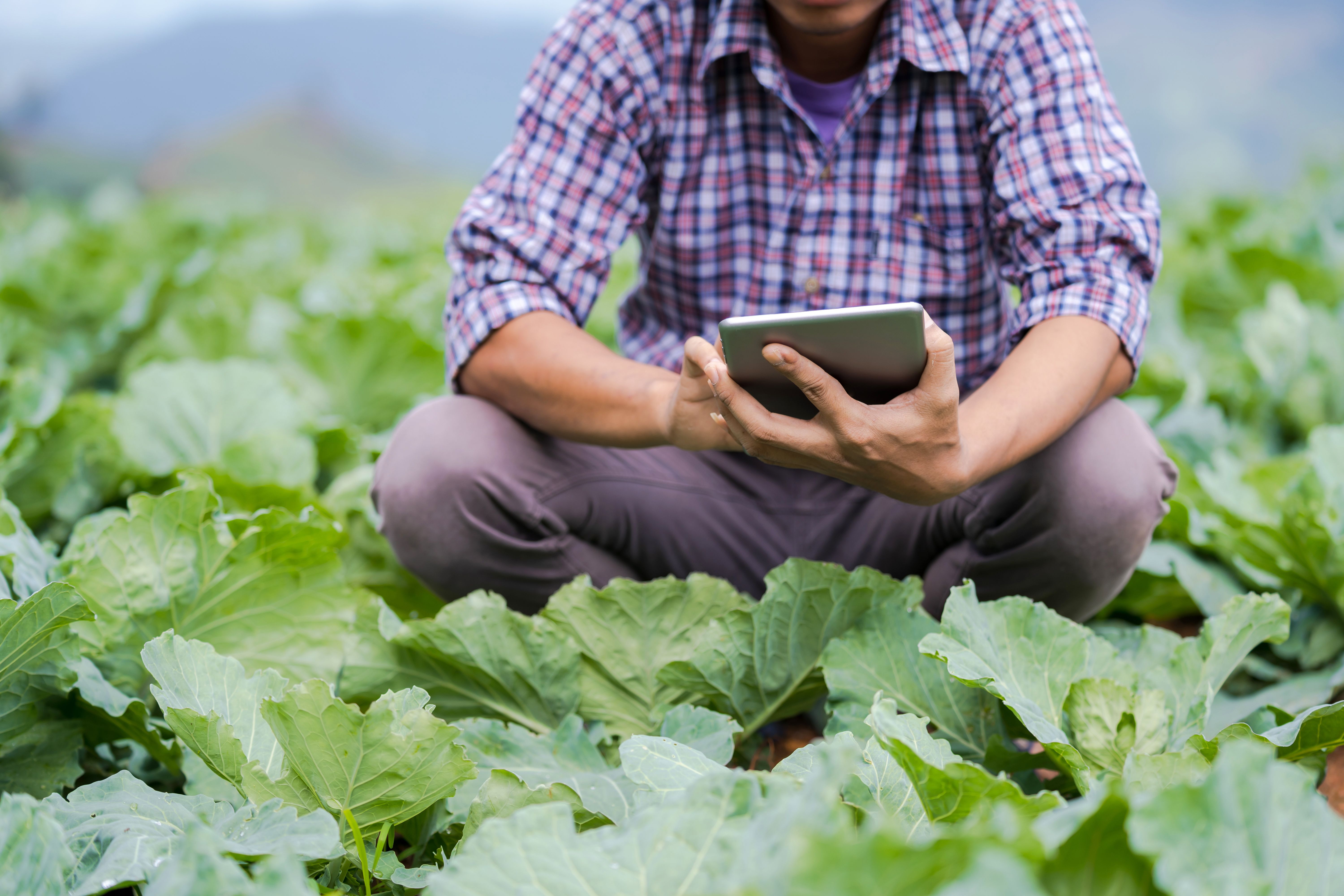 Digital Farming Photos, Download Free Digital Farming Stock Photos & HD ...