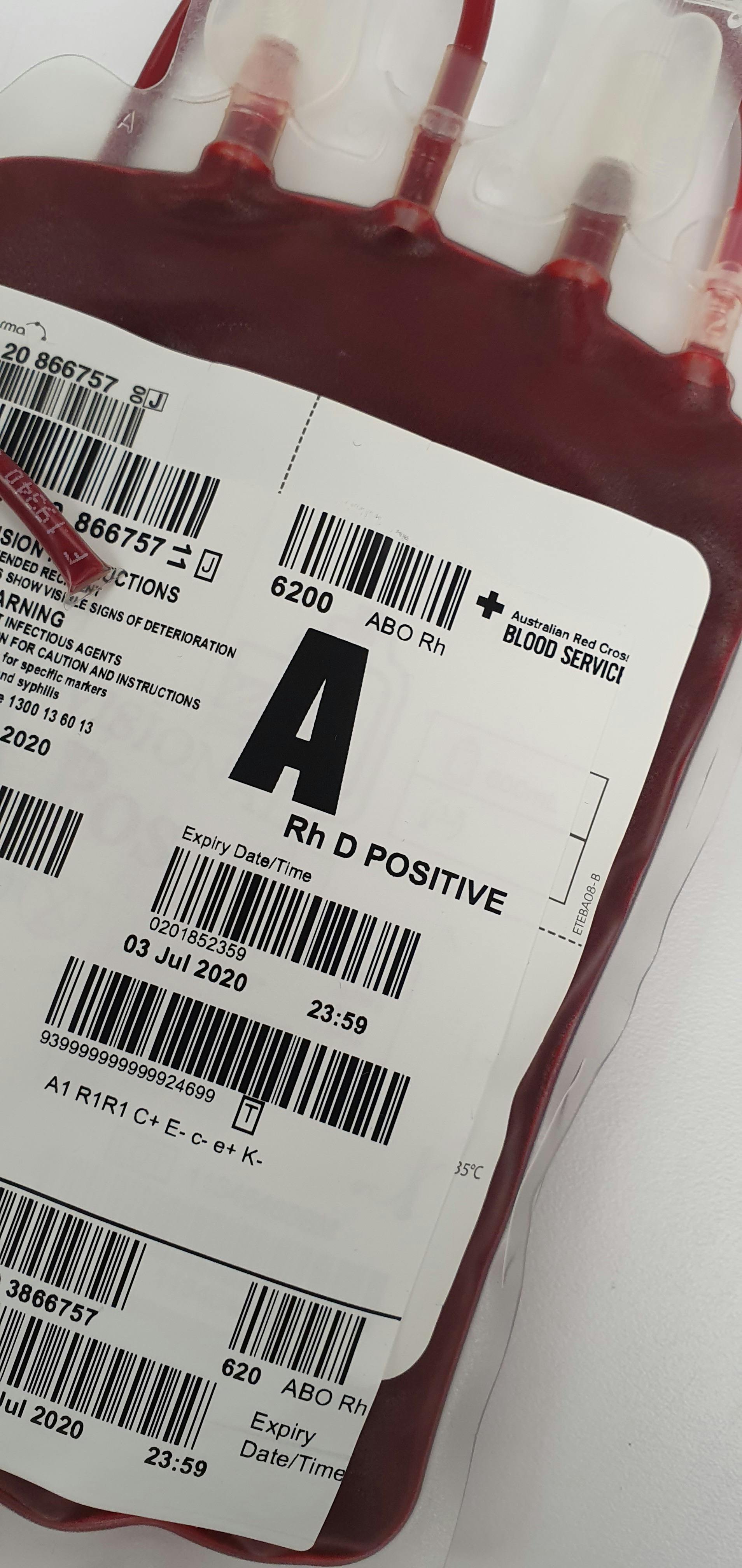 A Close-Up Shot of a Blood Bag · Free Stock Photo