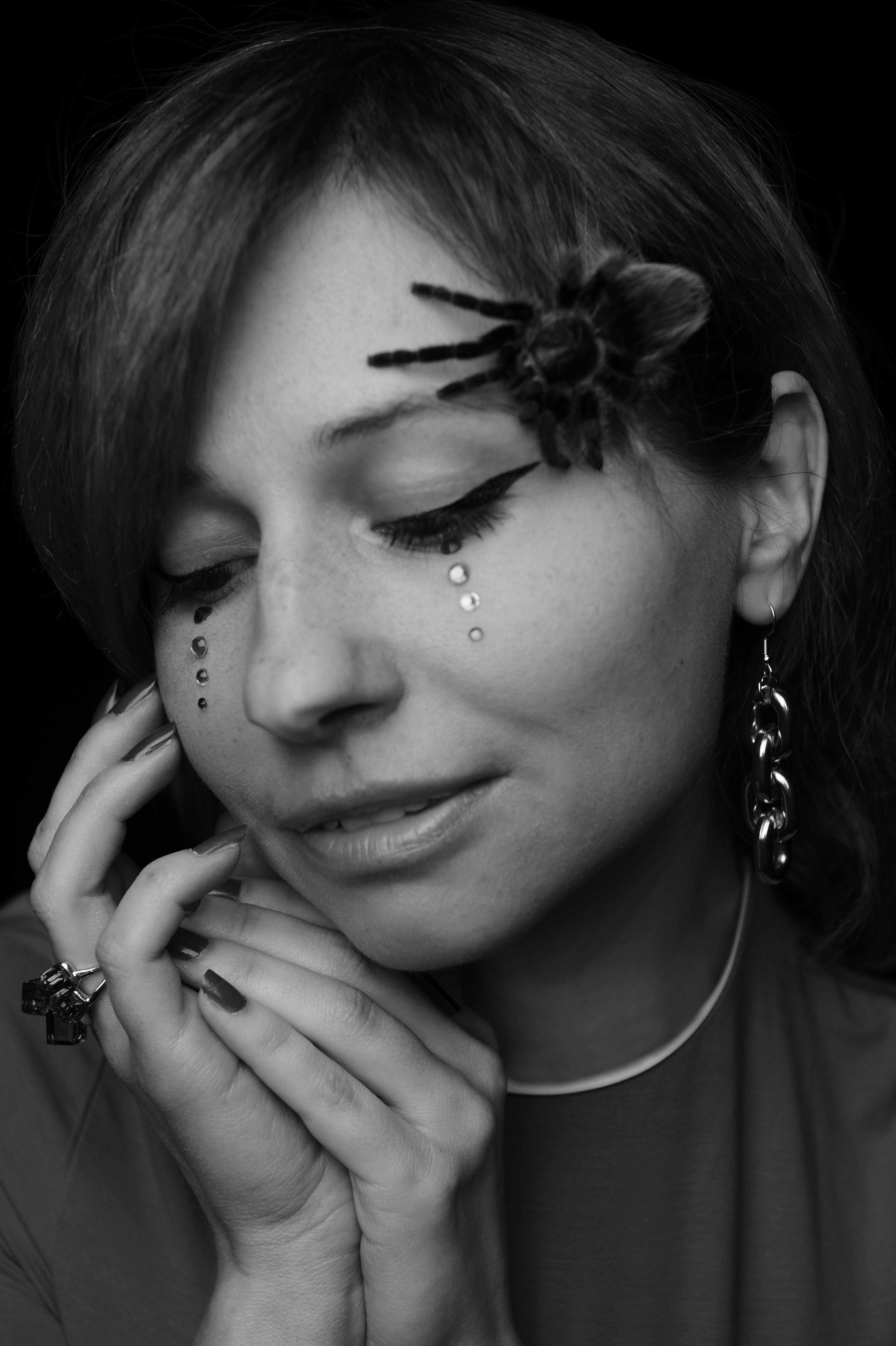 Spider Model Photos, Download The BEST Free Spider Model Stock Photos ...