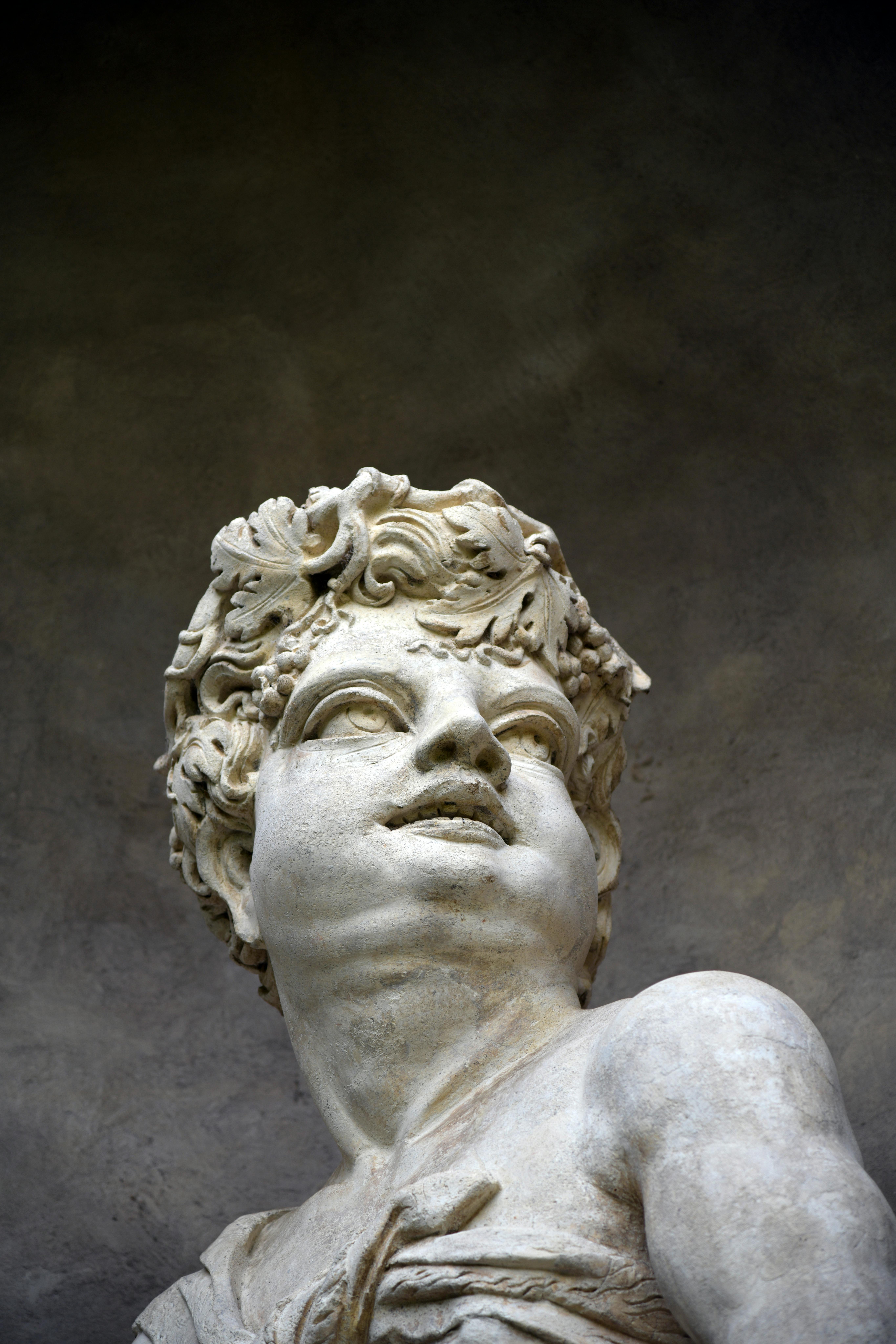 Bacchus Photos, Download The BEST Free Bacchus Stock Photos & HD Images