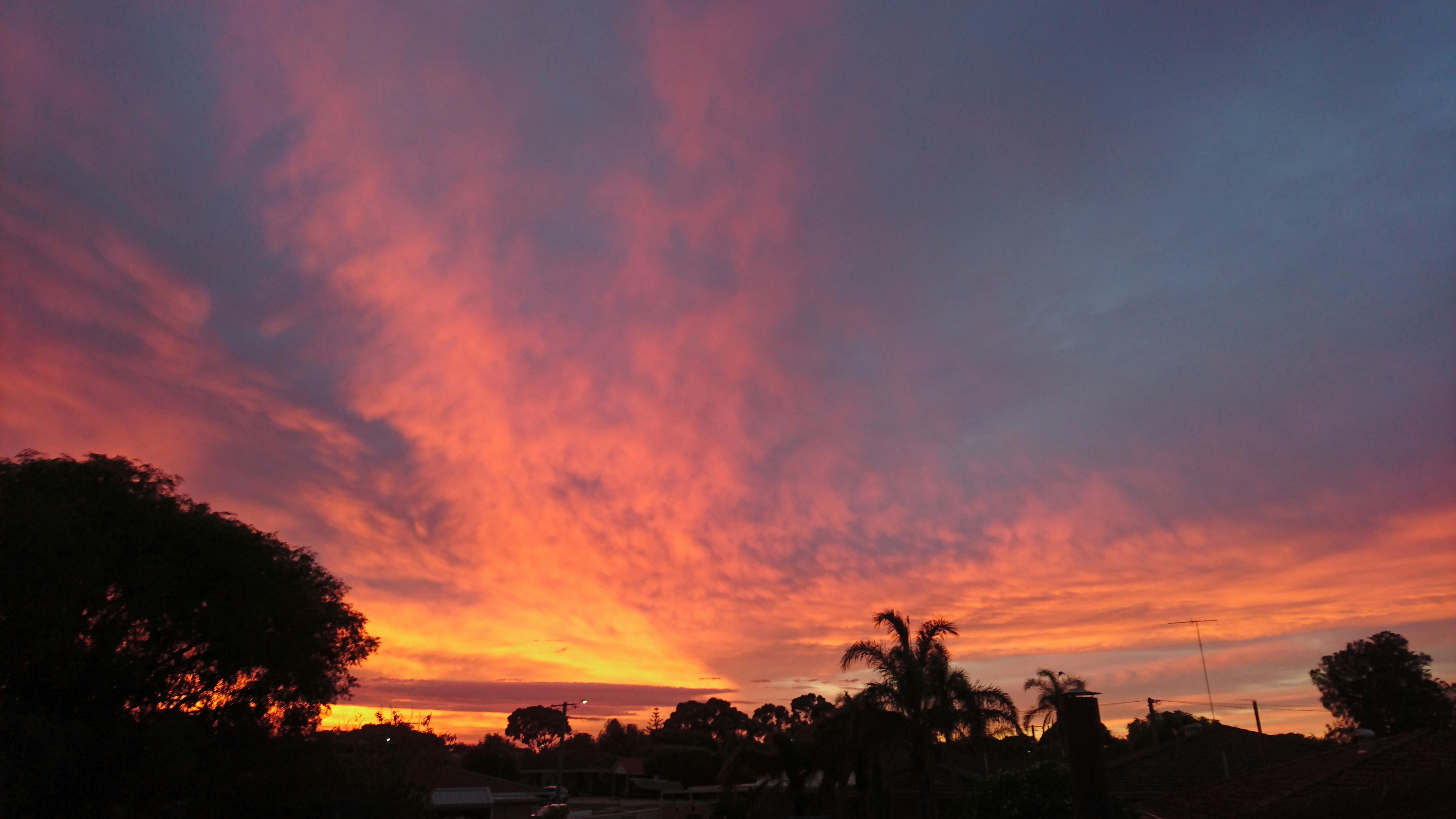 Free stock photo of early morning