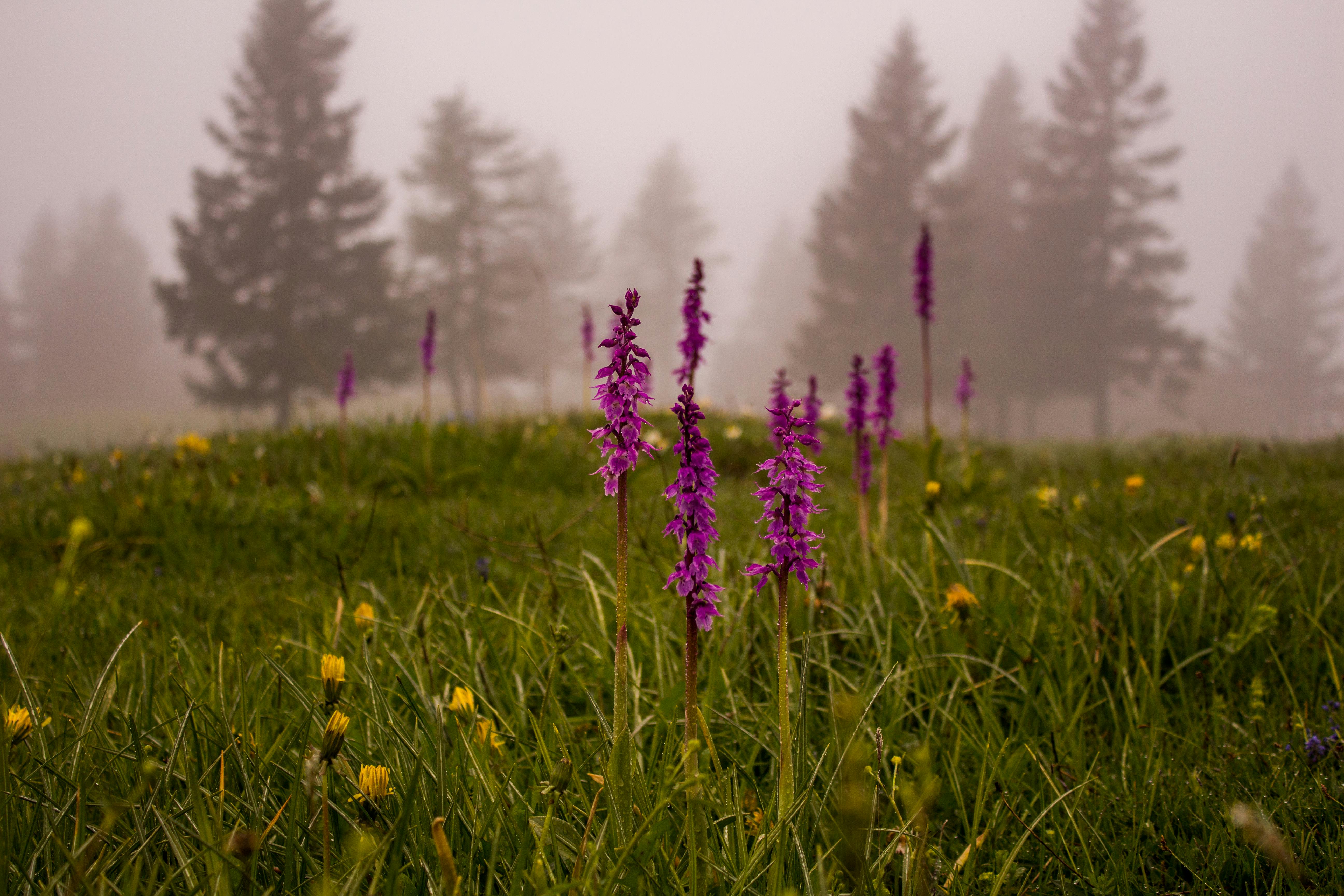 Antonio Šumak - Photography