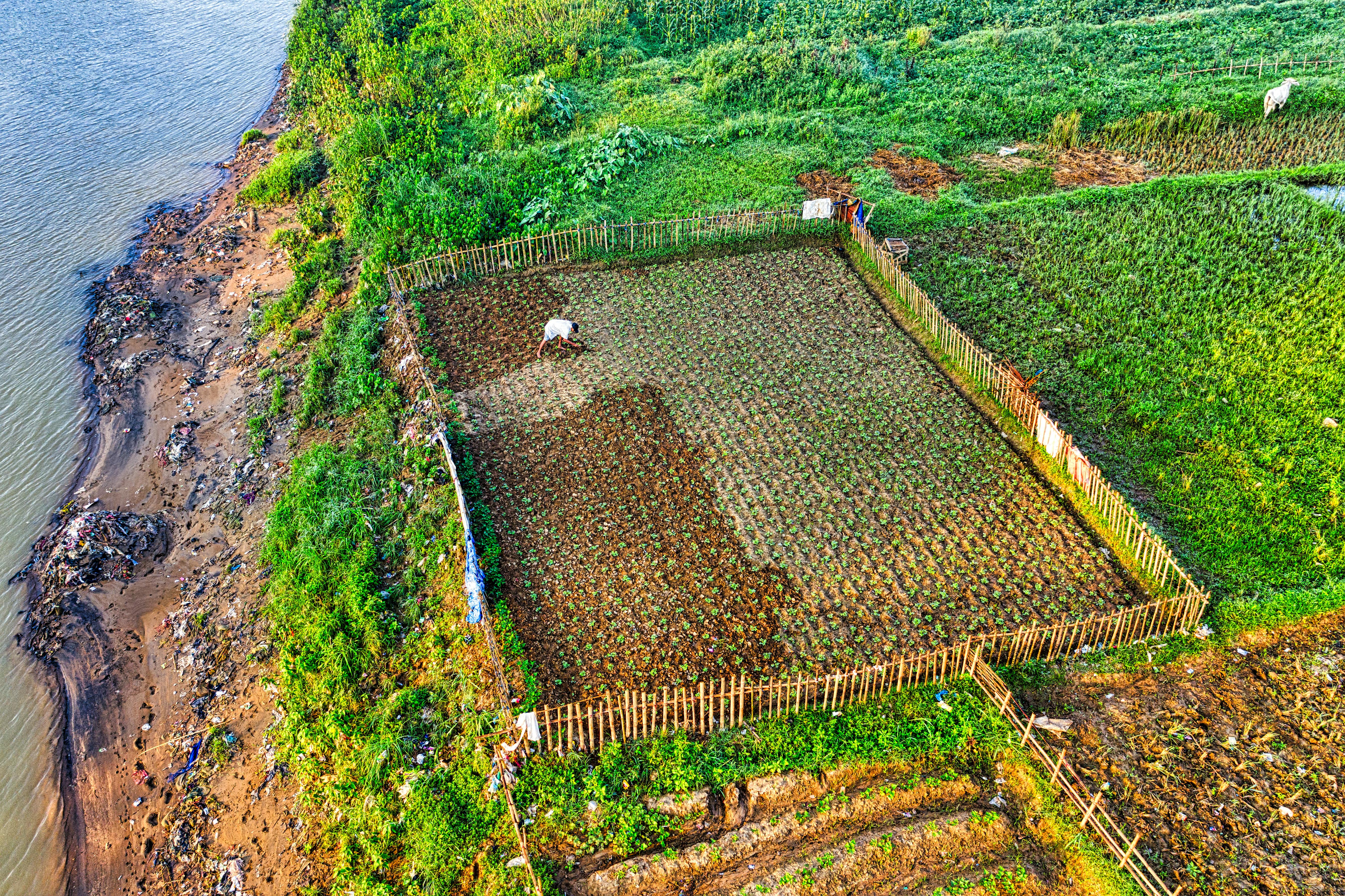 Aerial View of Farm Field · Free Stock Photo