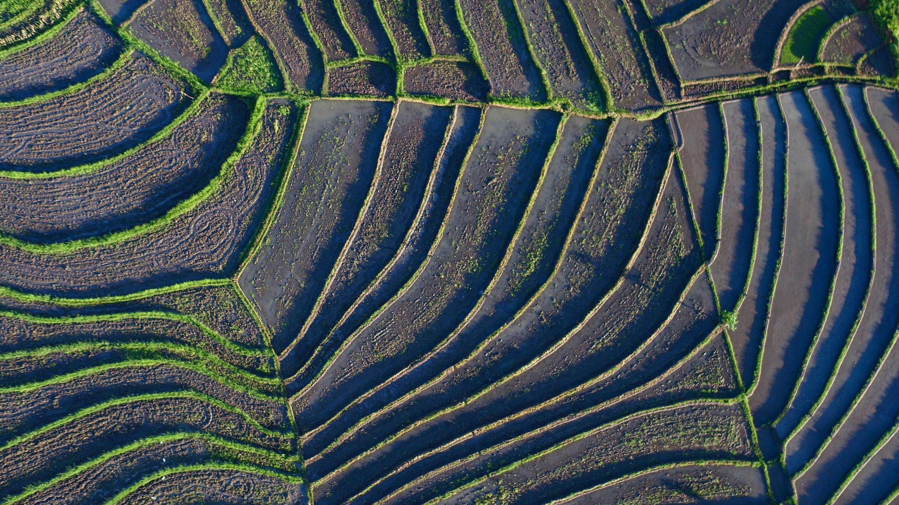 Furrow Photos, Download The BEST Free Furrow Stock Photos & HD Images