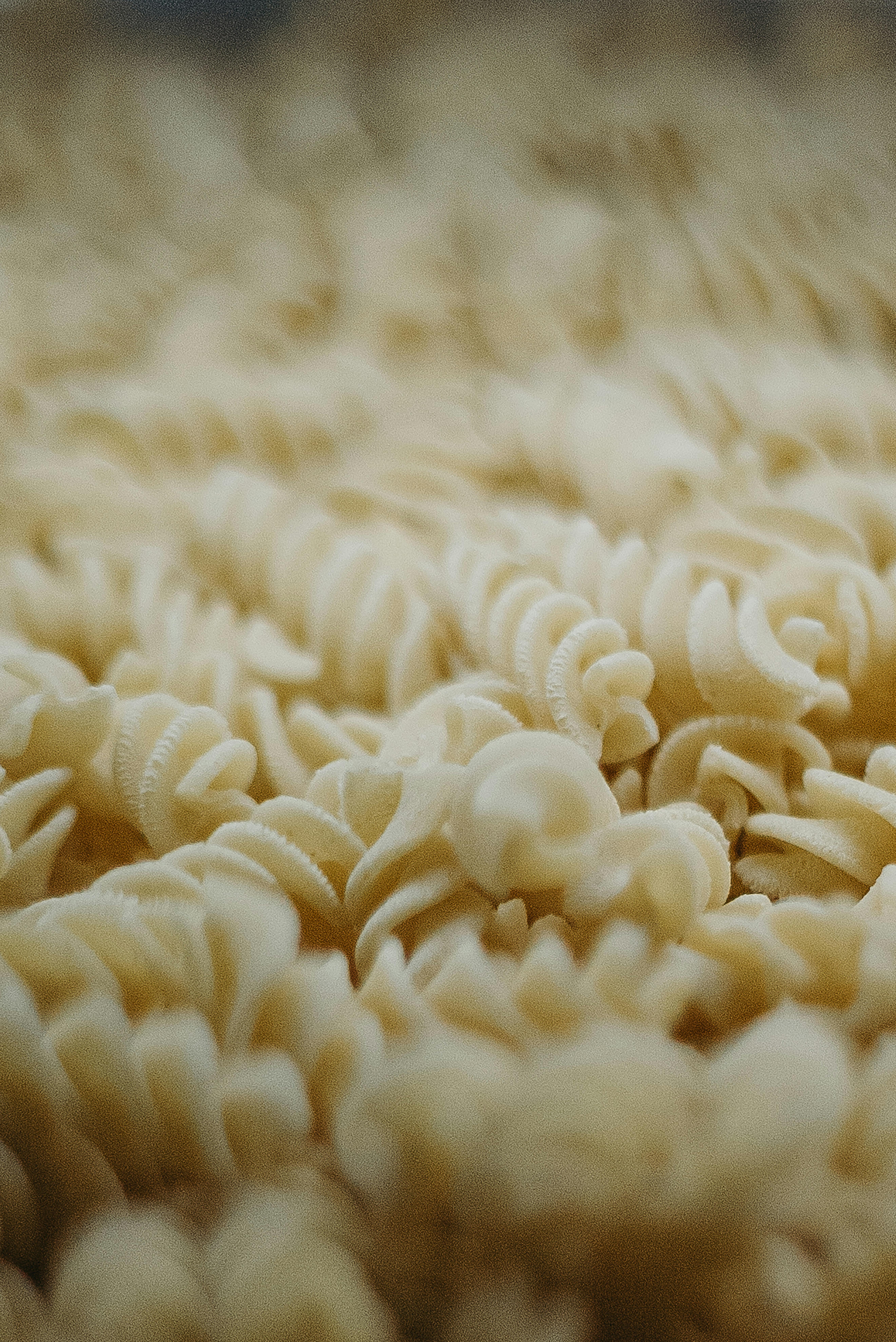 Yellow Paste Photos, Download The BEST Free Yellow Paste Stock Photos ...