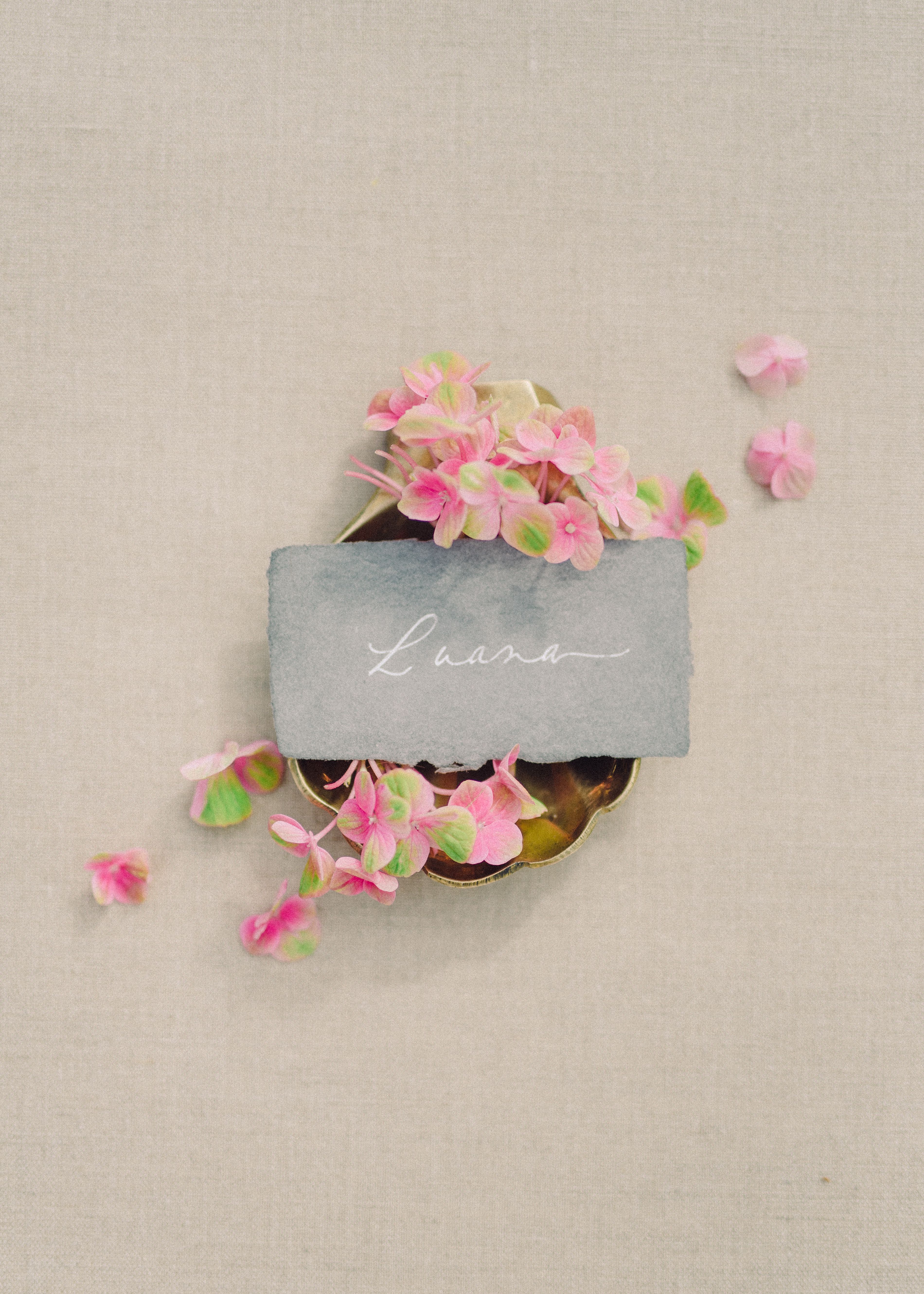 Blue Paper with Handwritten Message Surrounded by Pink Petals · Free ...