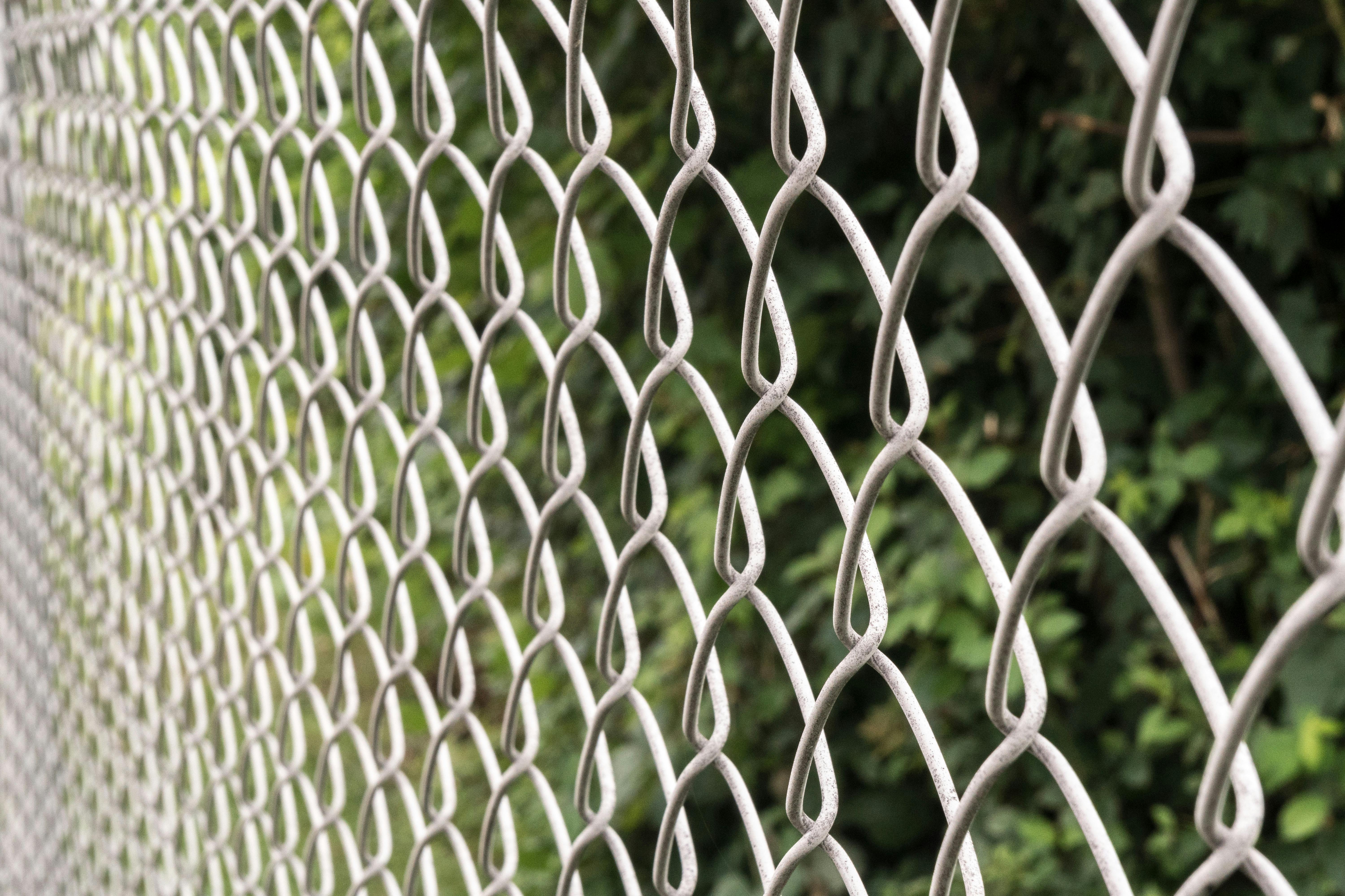 Free stock photo of fence, green, grid