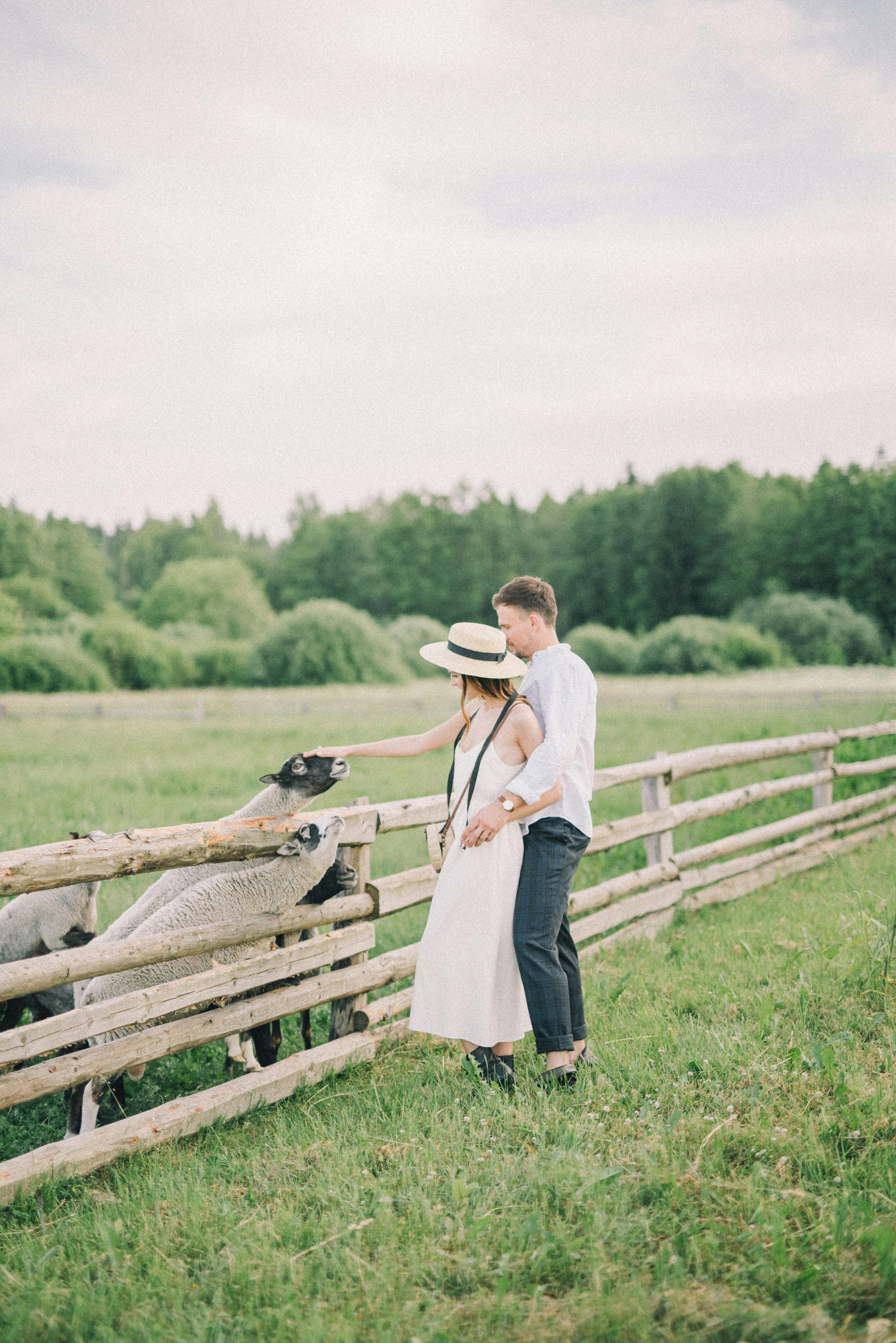 Romantic Couple in Farm with Sheep · Free Stock Photo