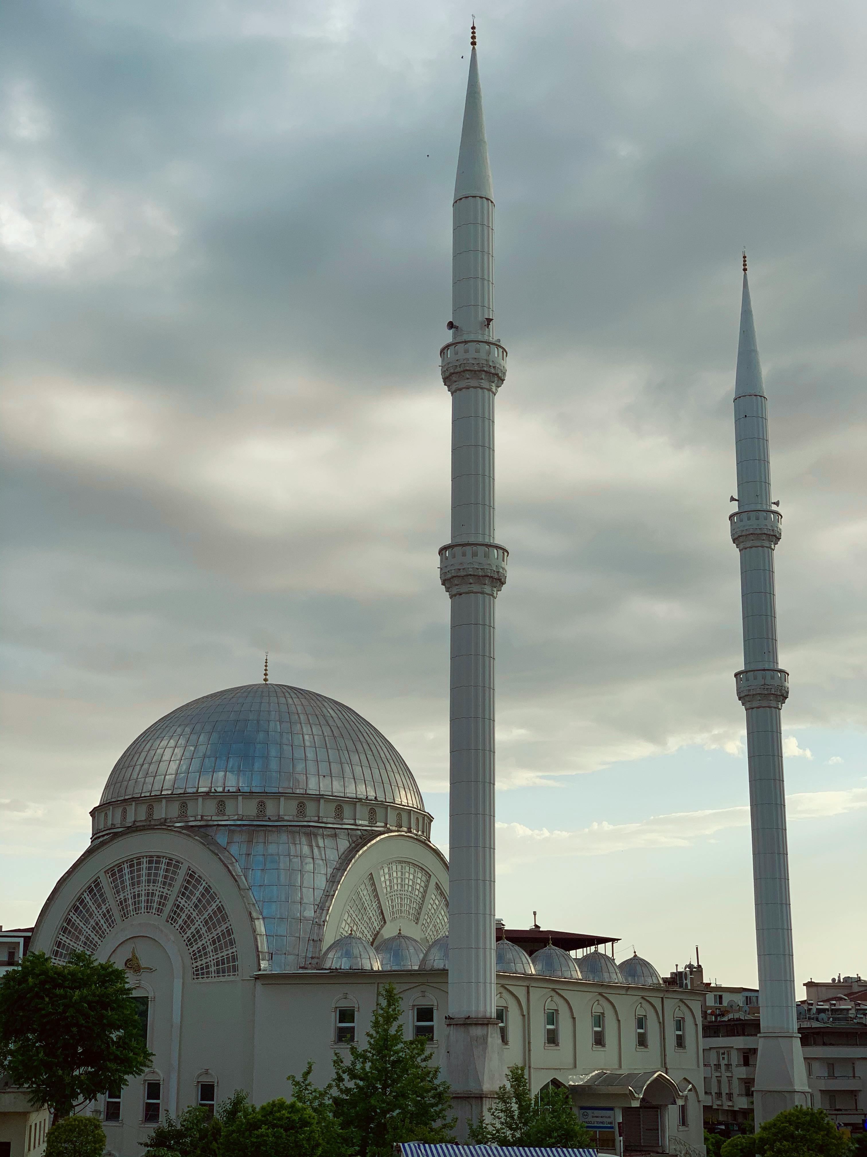 Mohammad Namous - 사진