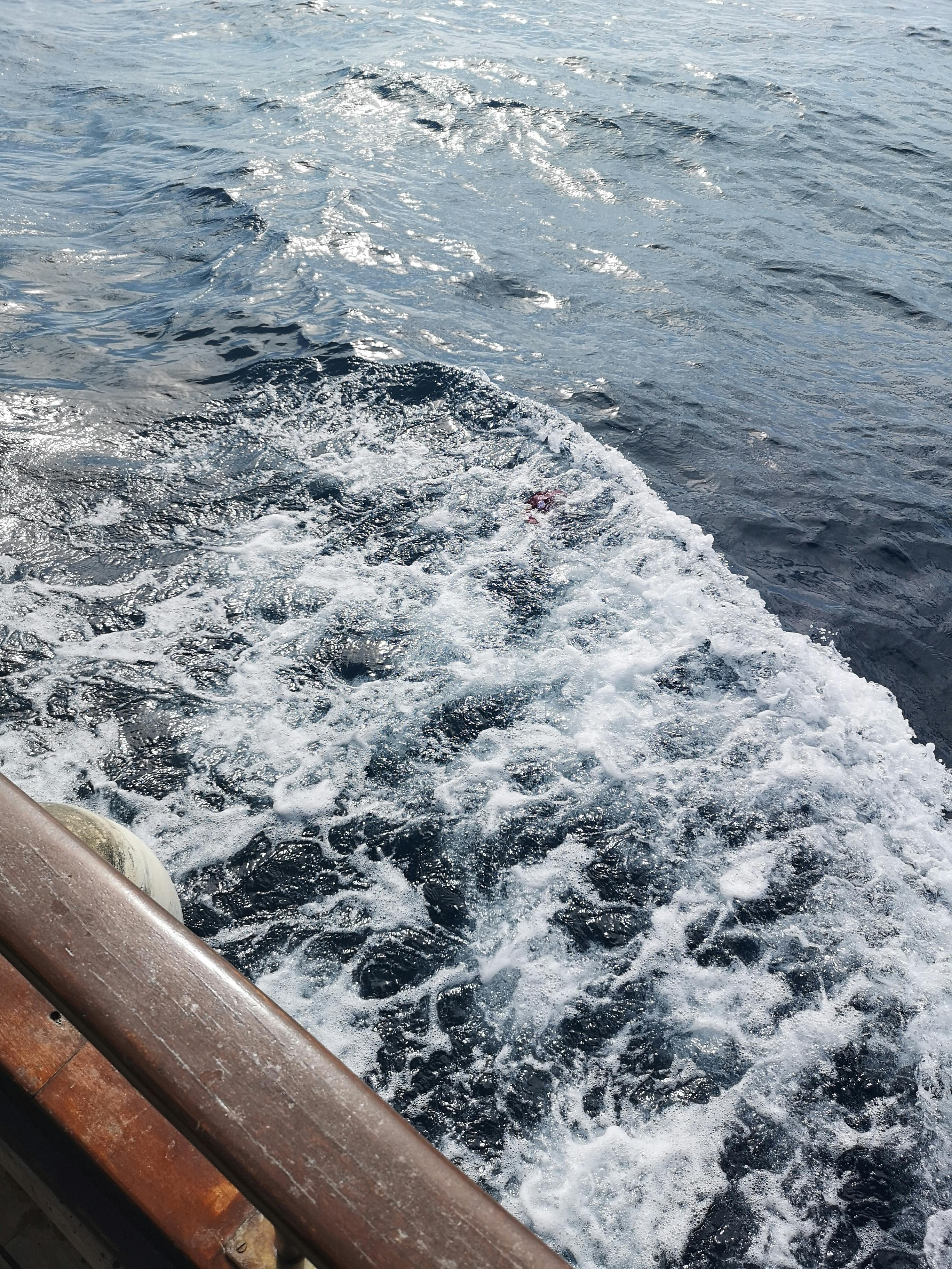 Rippling sea with foam on surface · Free Stock Photo