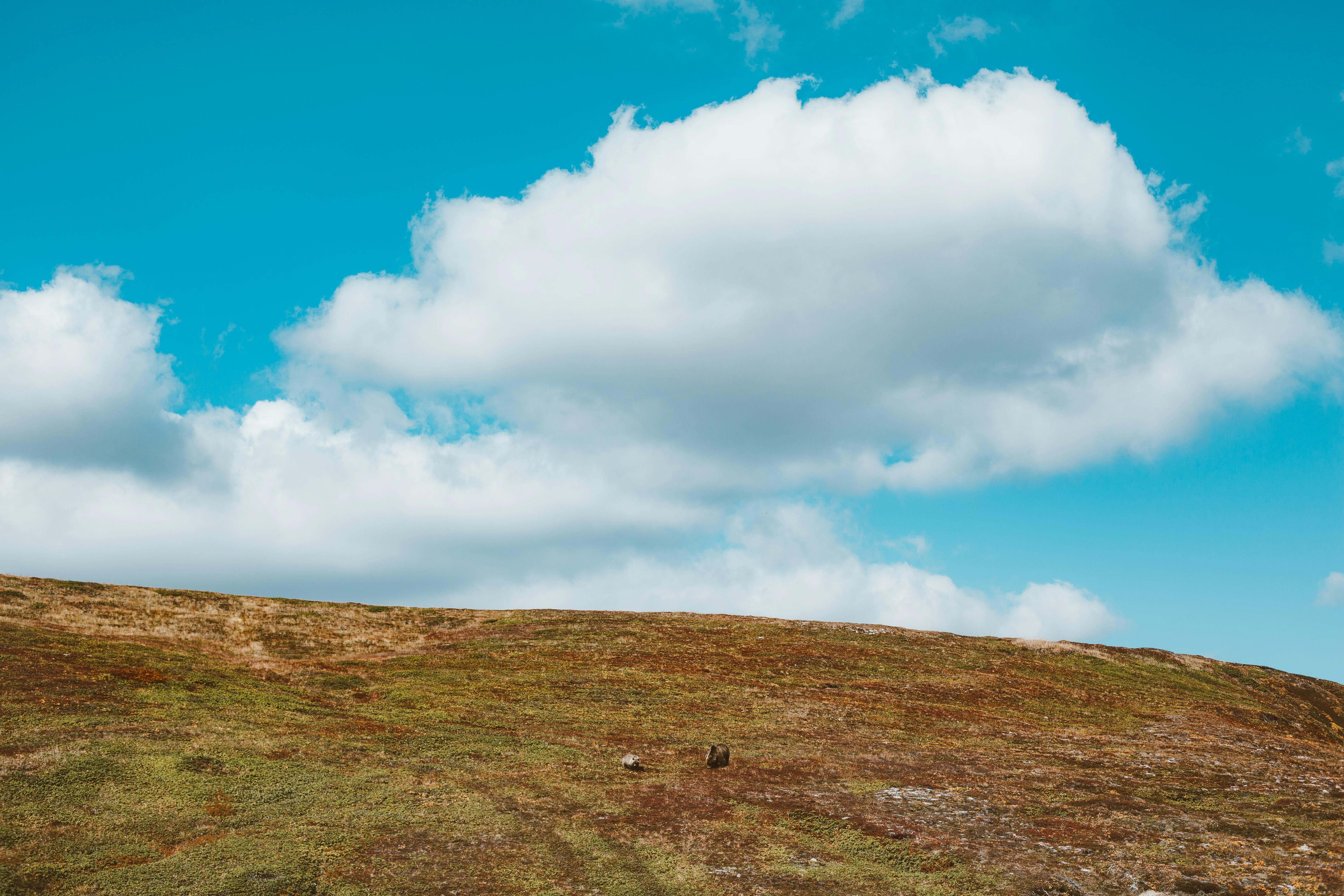 Landscape of hill slope with clouds above · Free Stock Photo