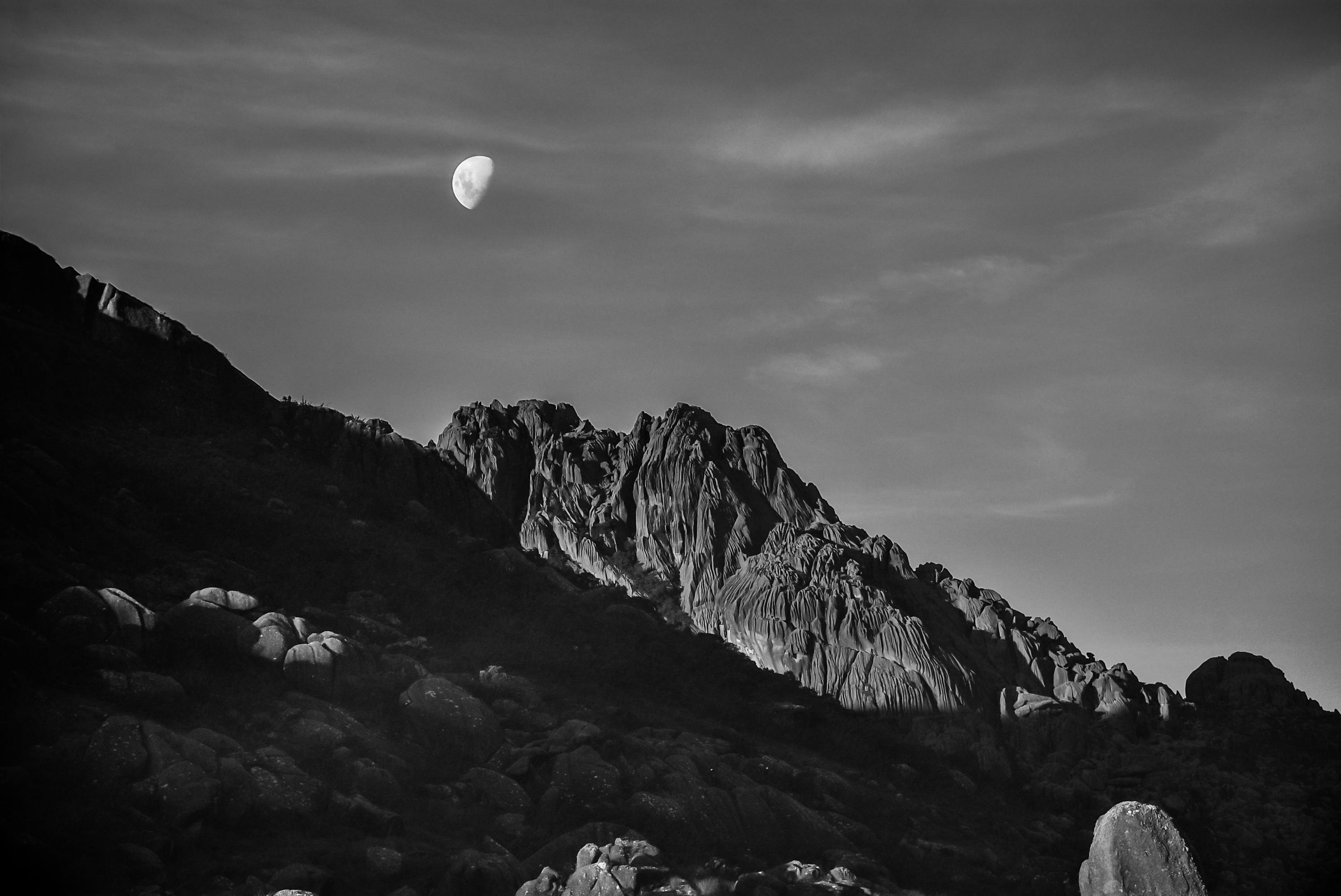 Grayscale Range Photos, Download The BEST Free Grayscale Range Stock ...