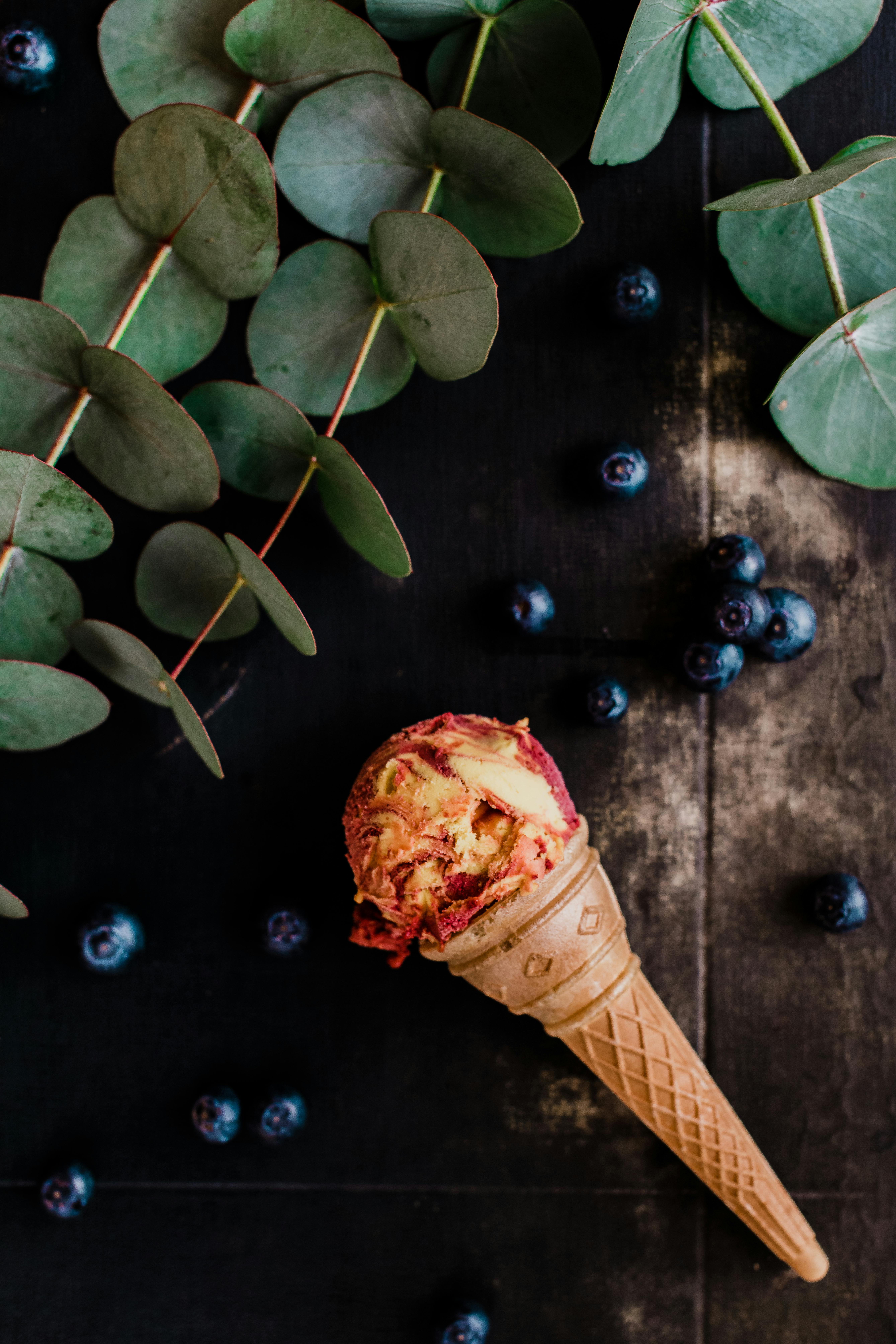 20+ Interesting Cornet Photos · Pexels · Free Stock Photos