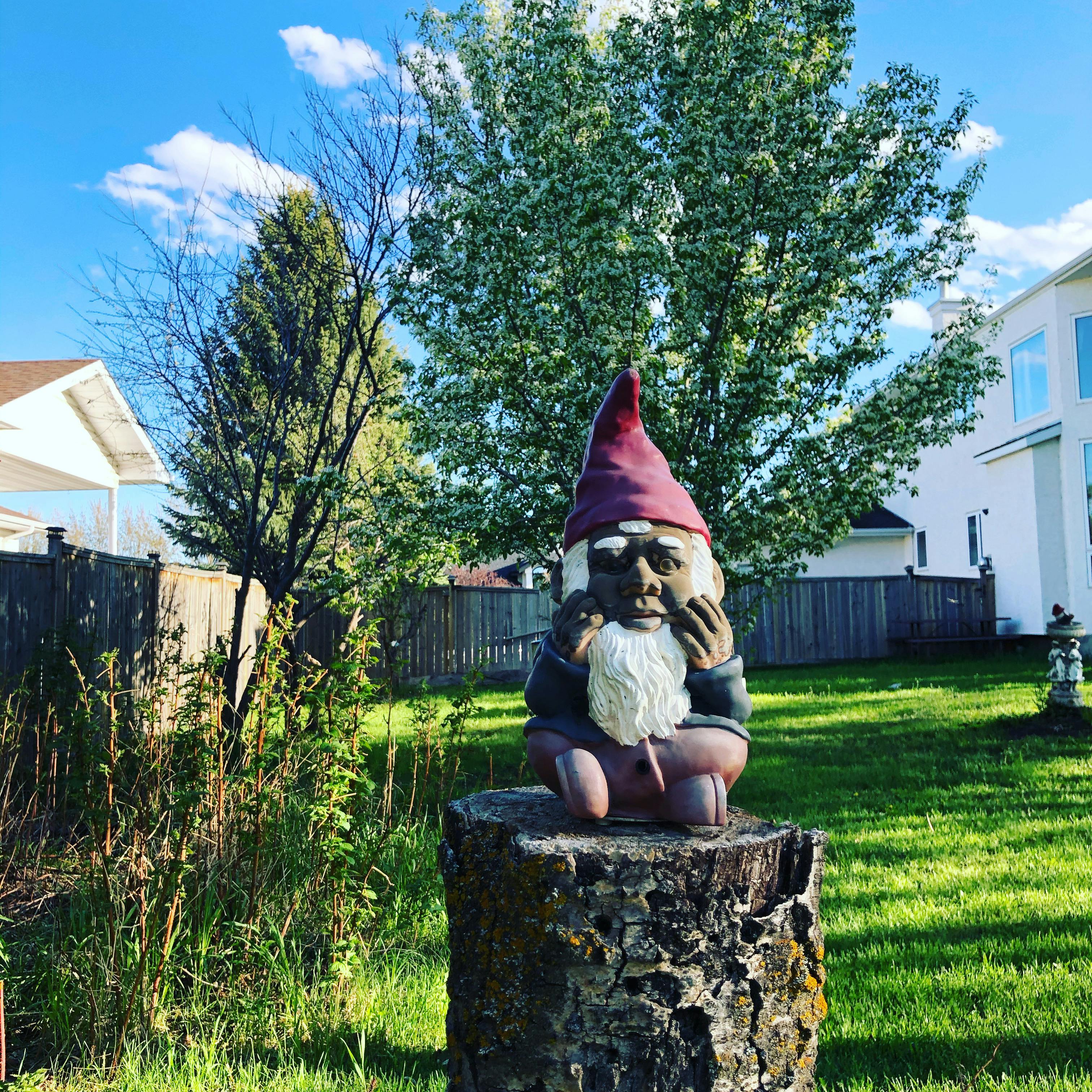 DAVID LUCK - Fotografía