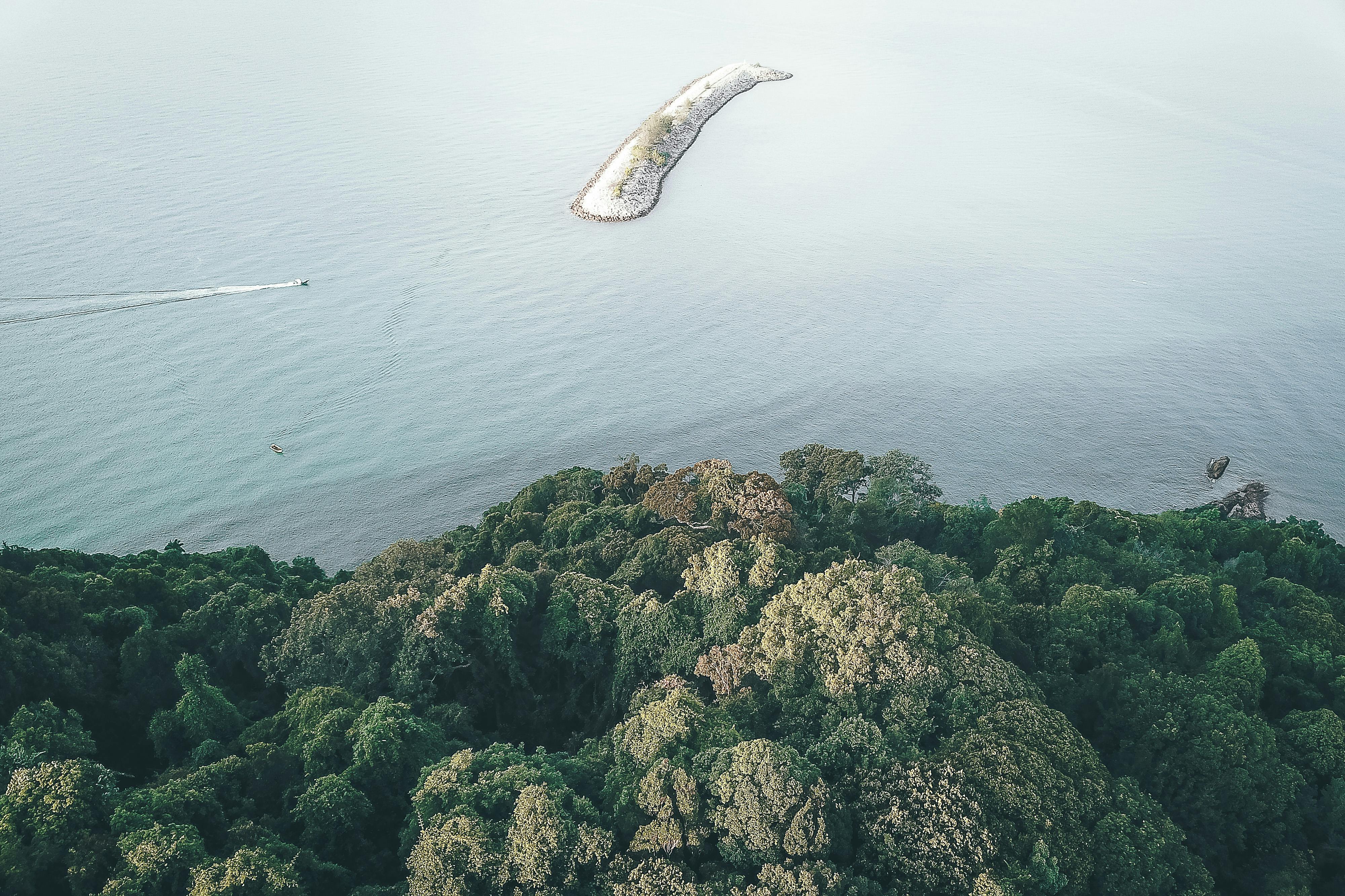 Small island in sea surrounded by green trees · Free Stock Photo