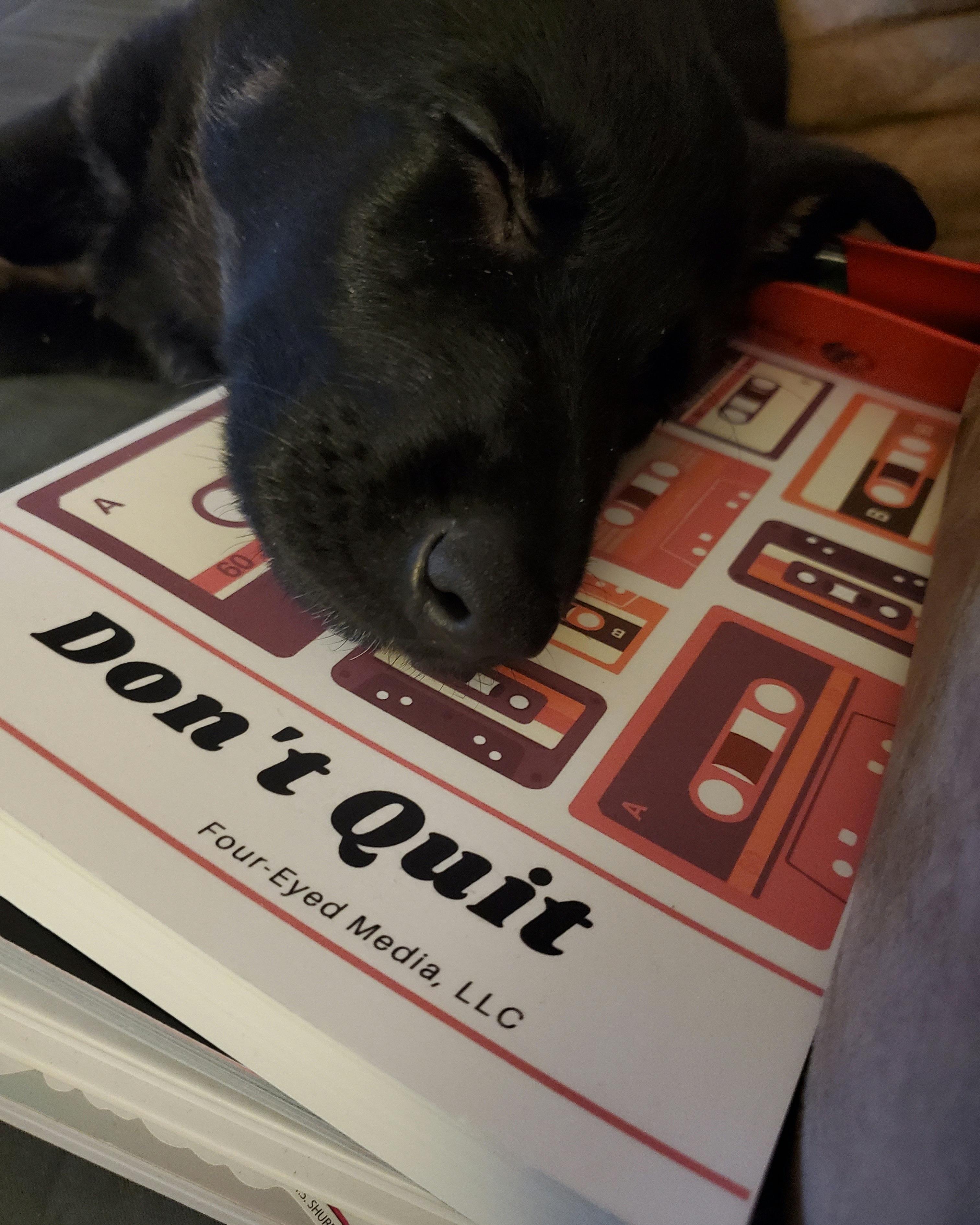 Lindsey Taylor - 攝影