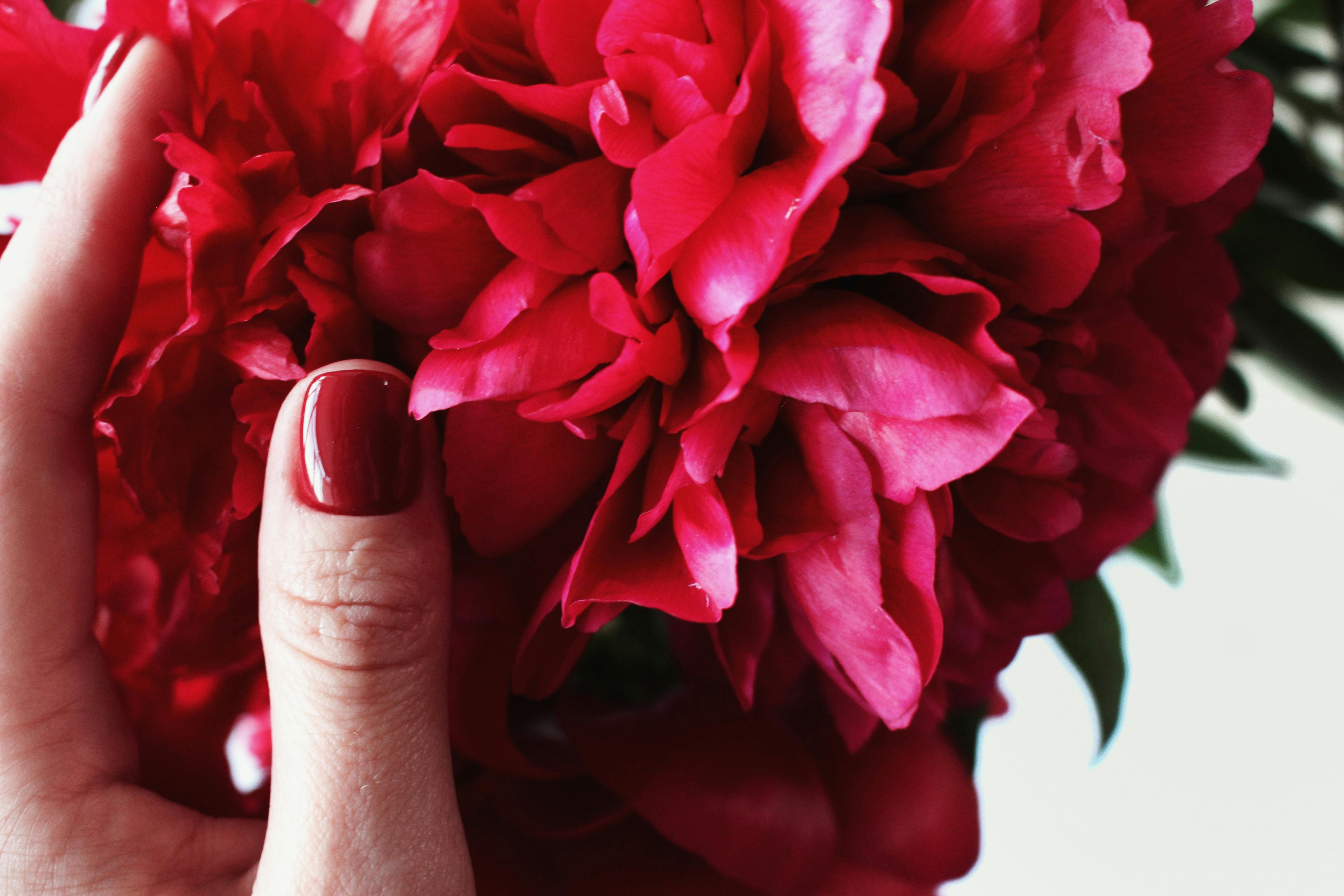 Person Filing Nail · Free Stock Photo