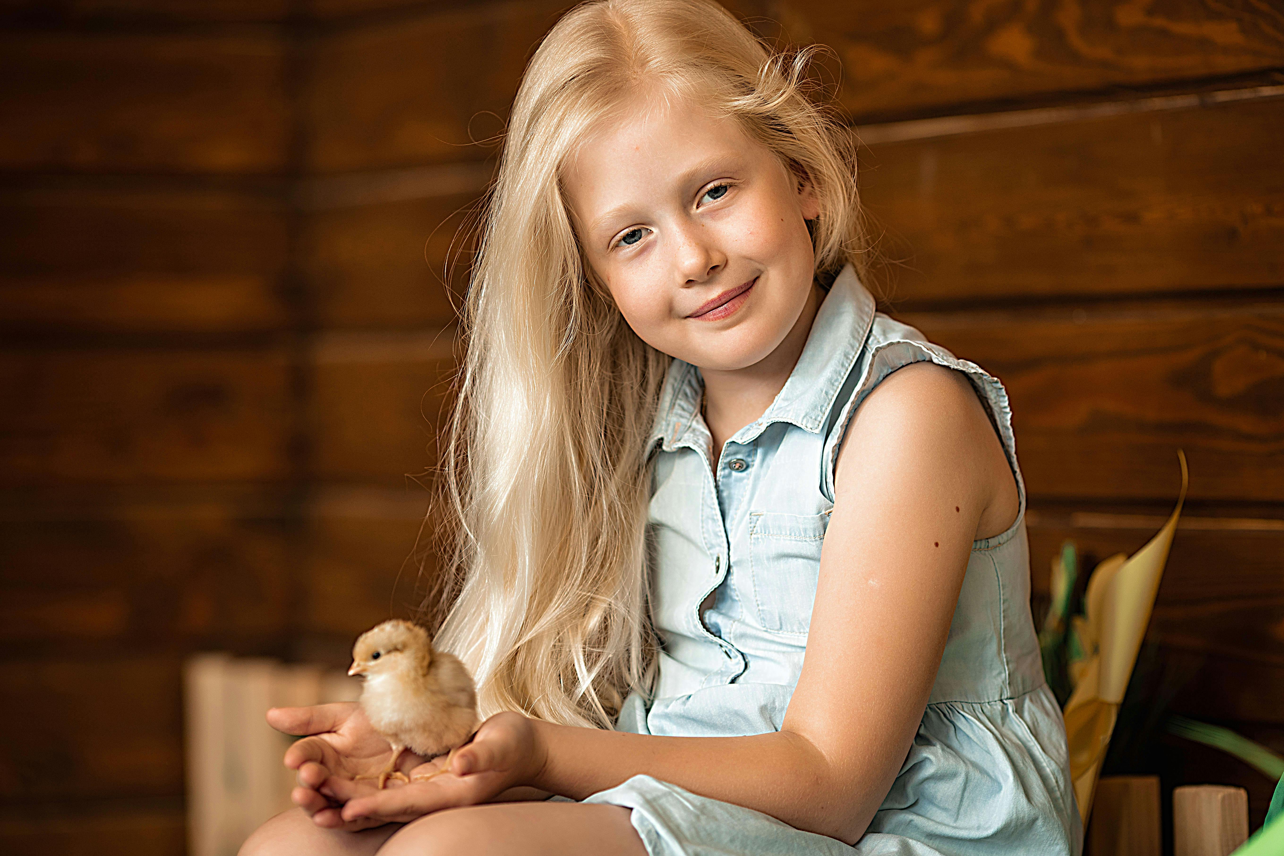 Chicken Stare Photos, Download The BEST Free Chicken Stare Stock Photos ...