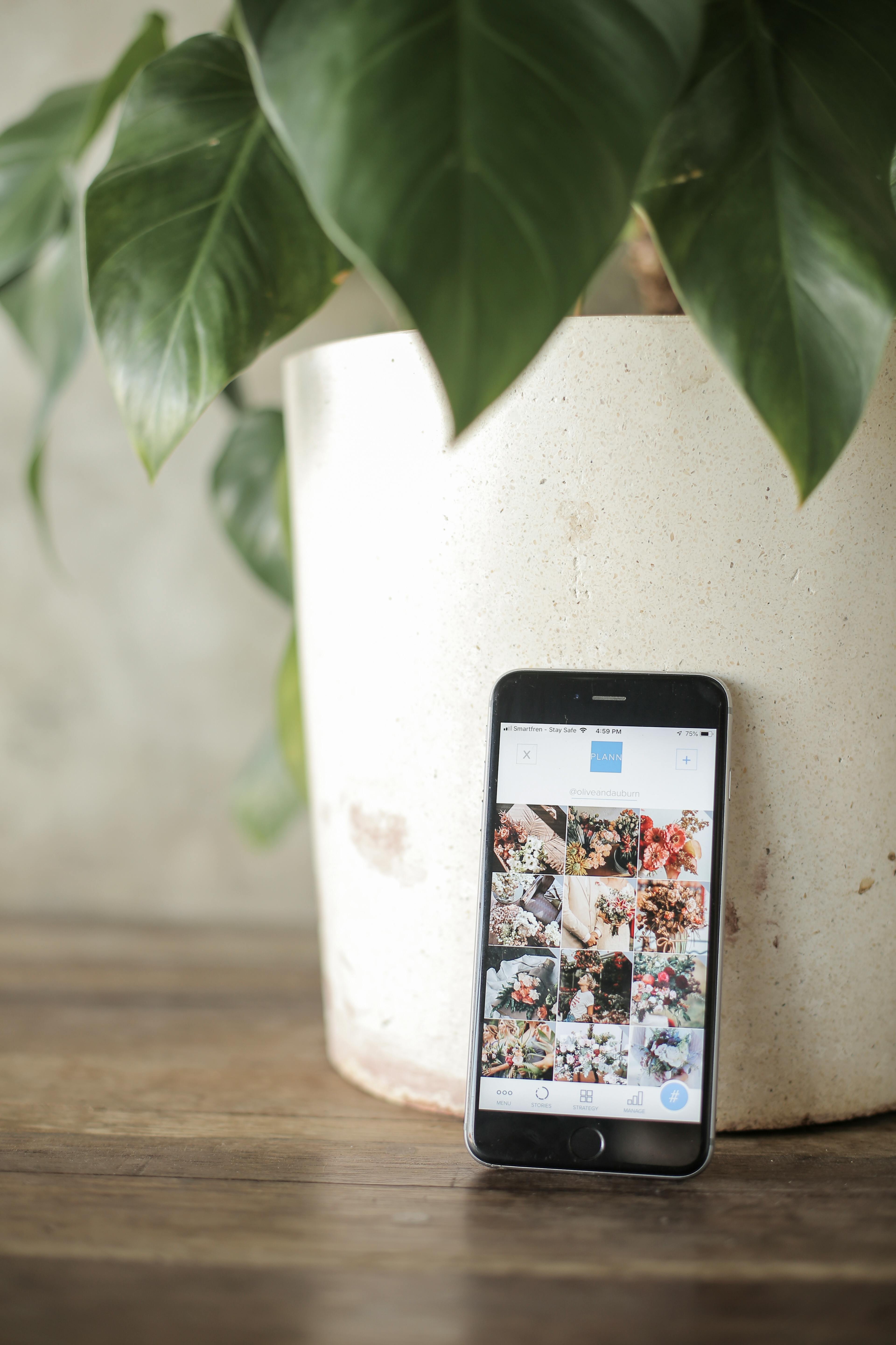 Smartphone Displaying Photos in App · Free Stock Photo