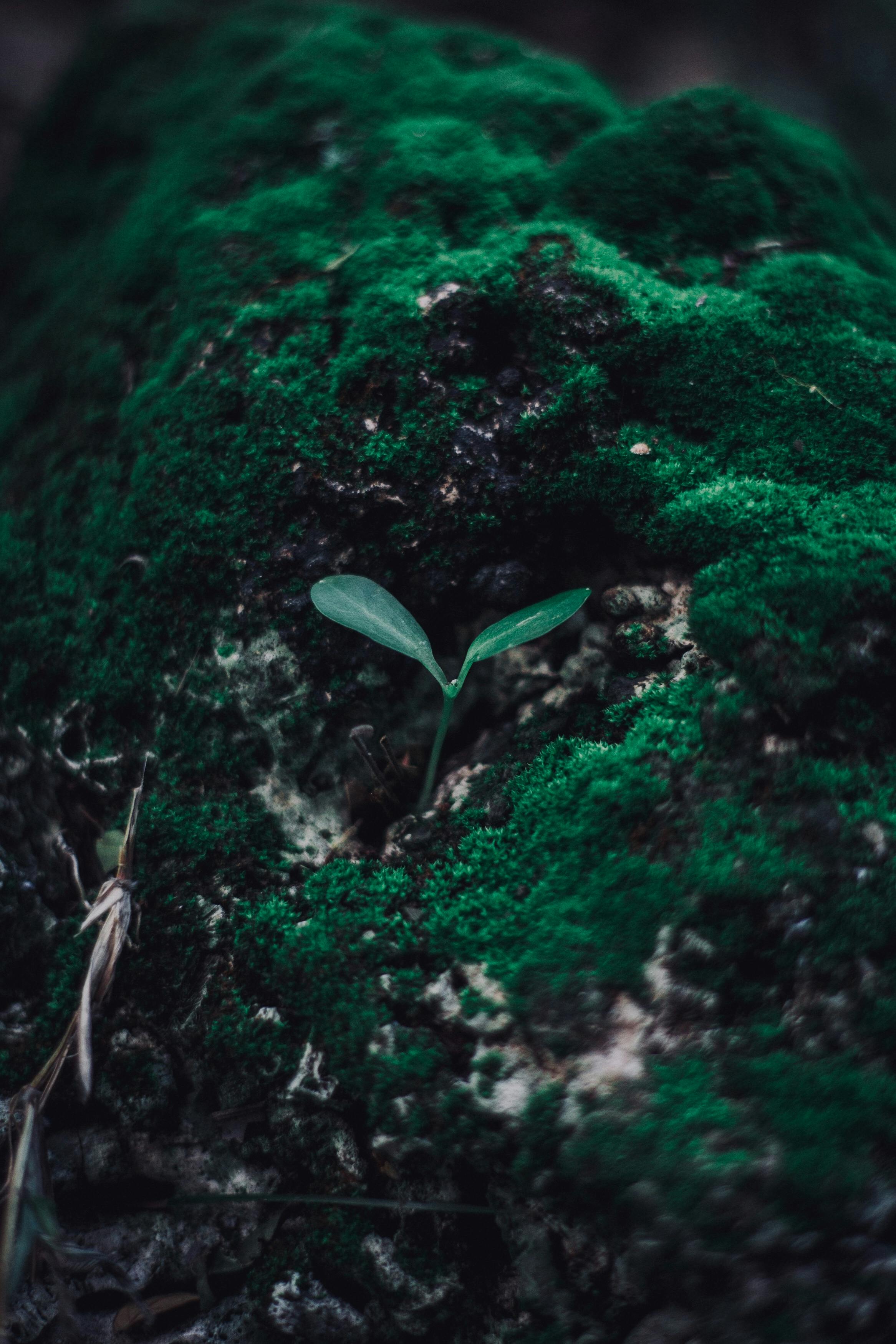 John Goren - Photographie