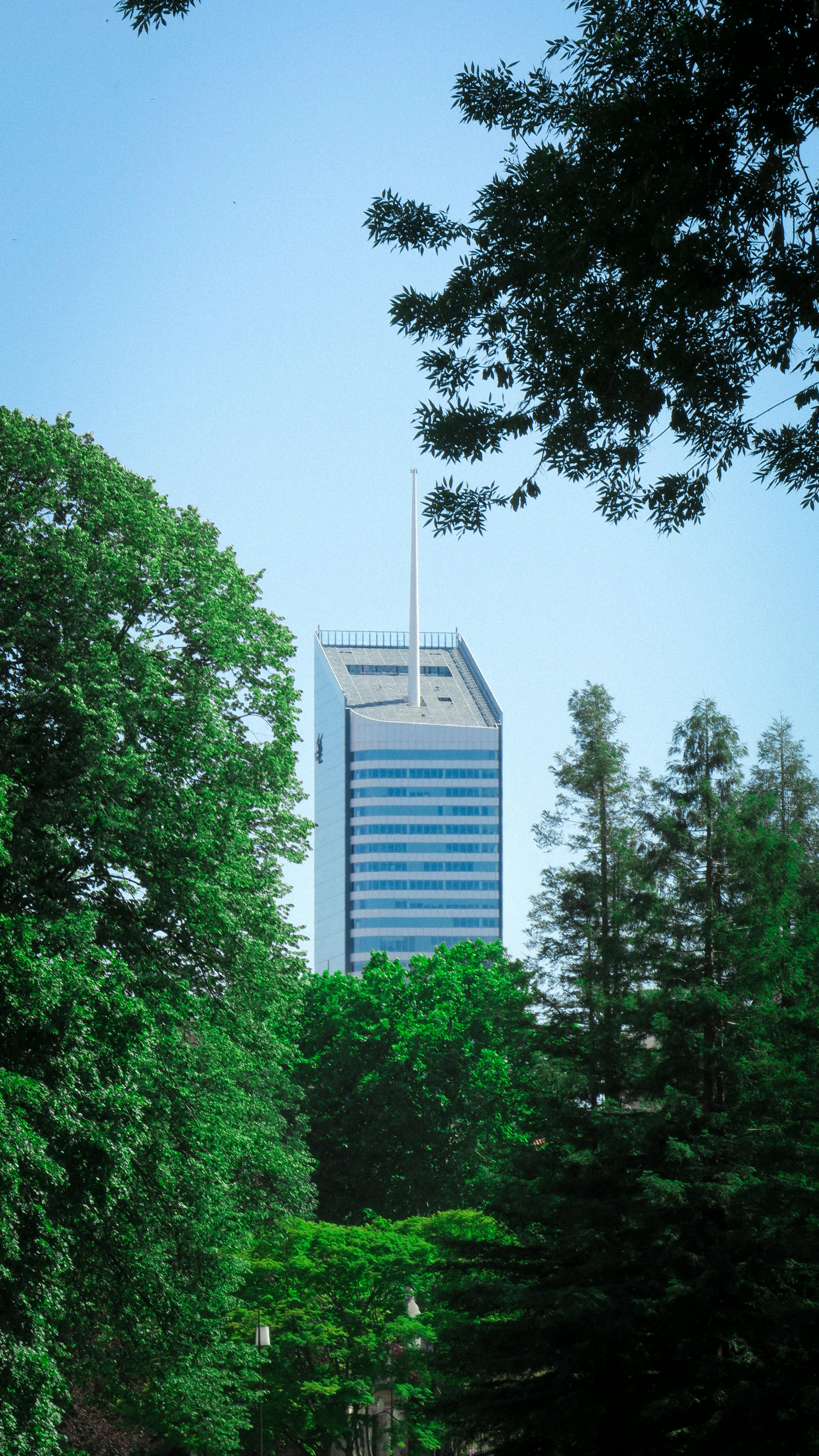 A Building Behind Trees · Free Stock Photo