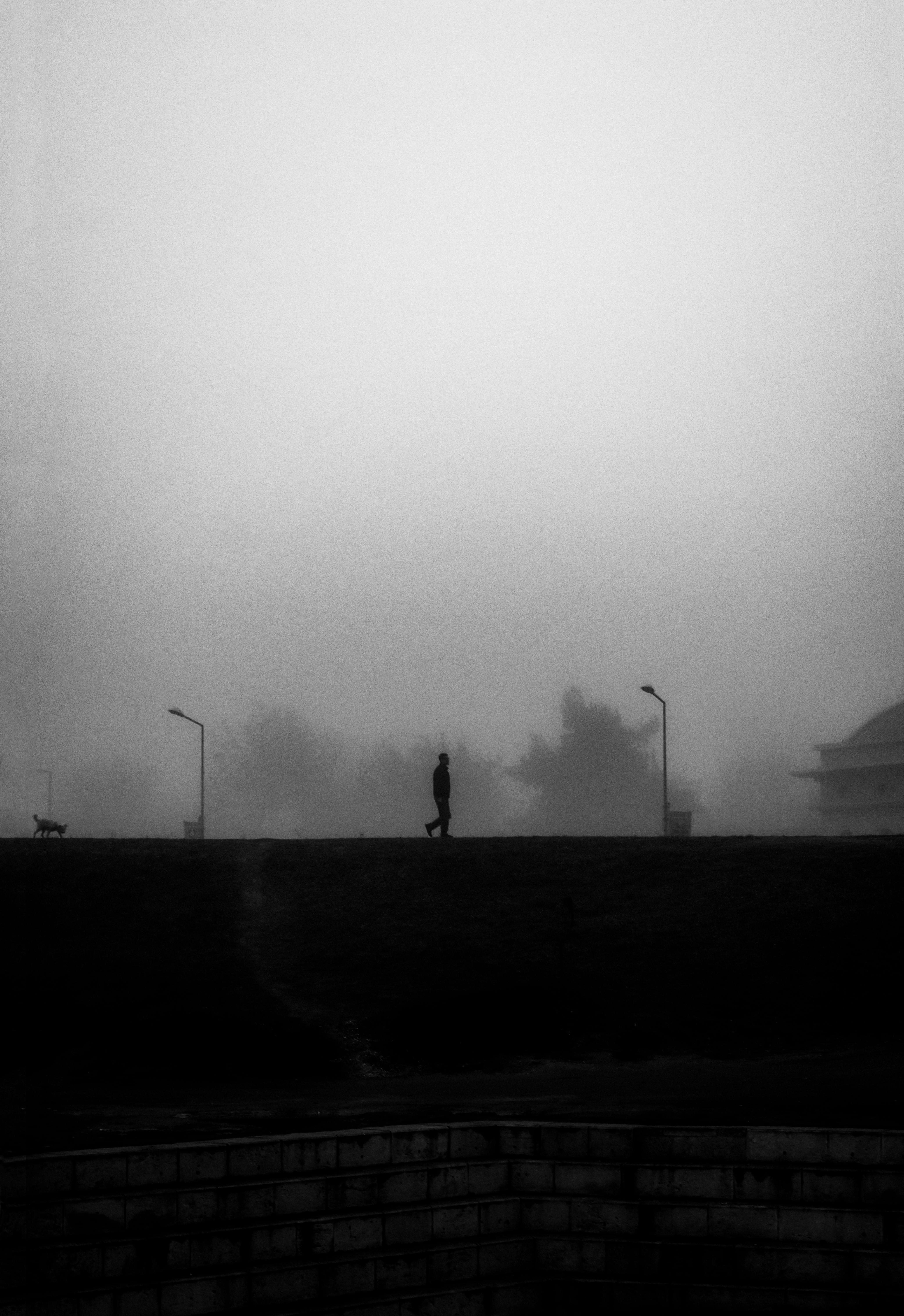 Person Walking in Fog · Free Stock Photo