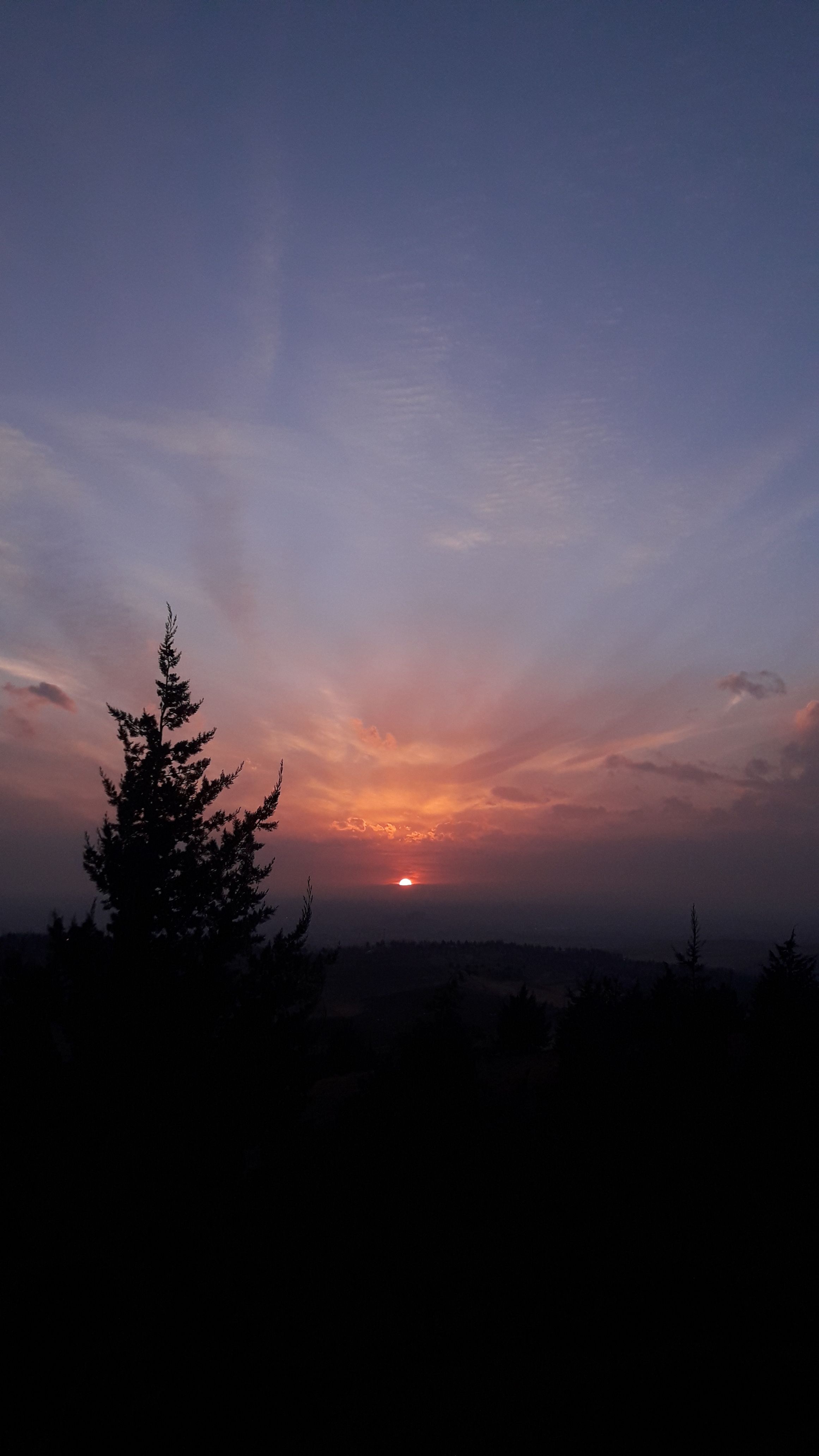 Free stock photo of purple sky, sadness, sunset