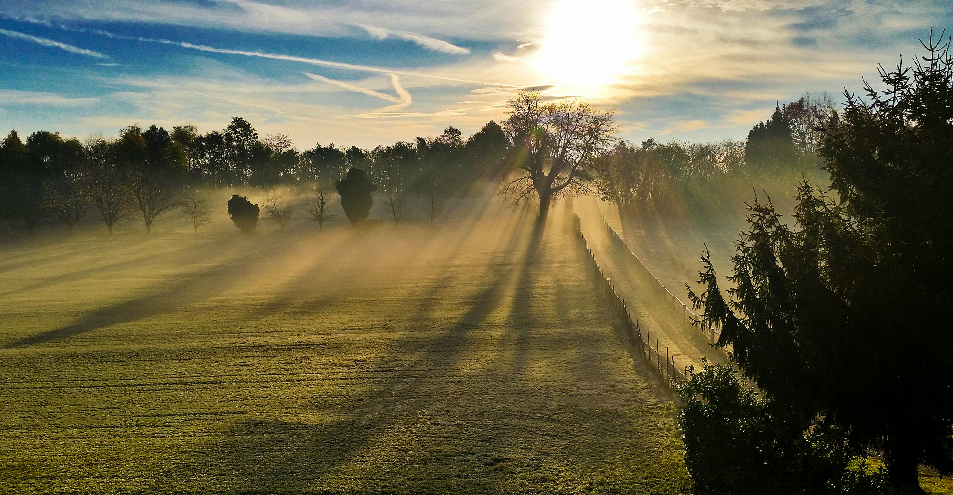 Amanda Martin - 摄影