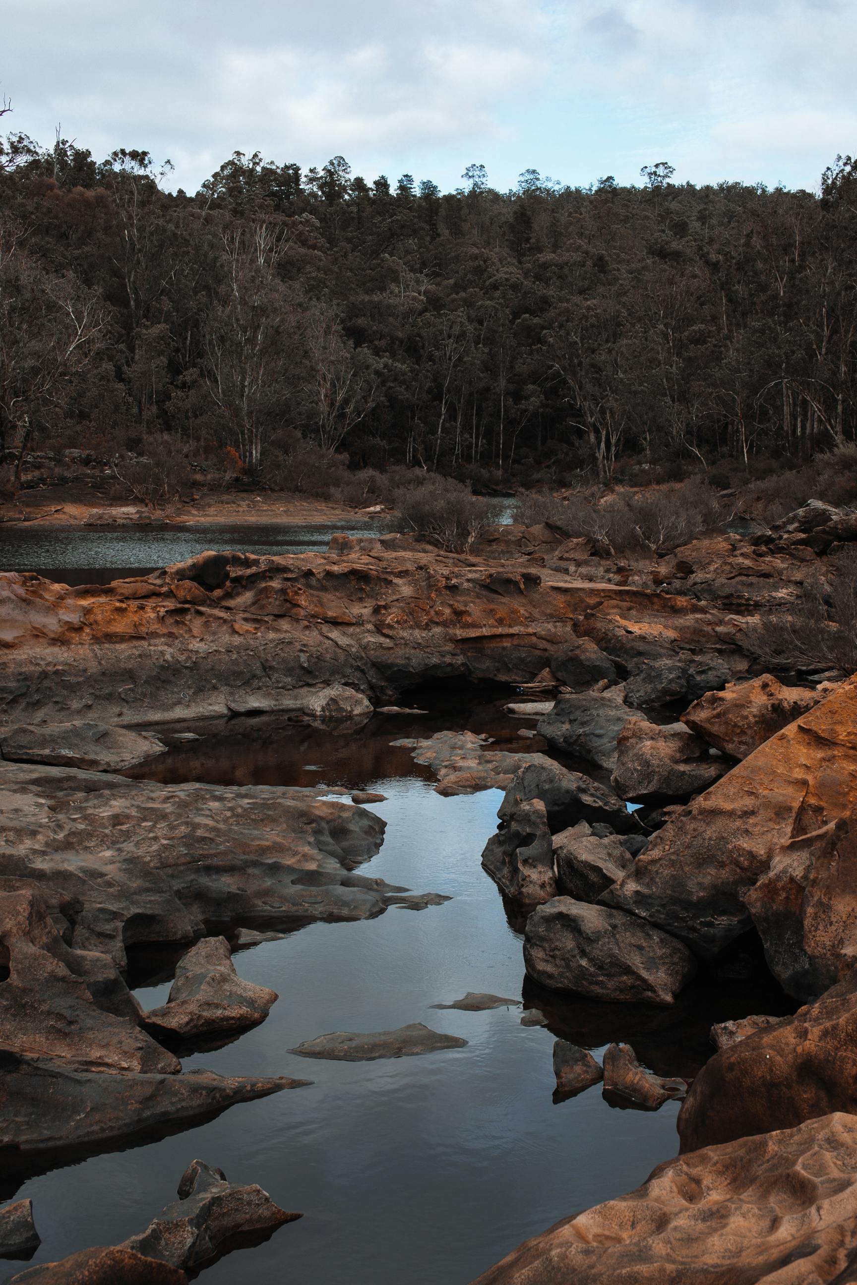 Calm river flowing in autumn forest under cloudy sky · Free Stock Photo Calm river flowing in autumn forest under cloudy sky · Free Stock Photo