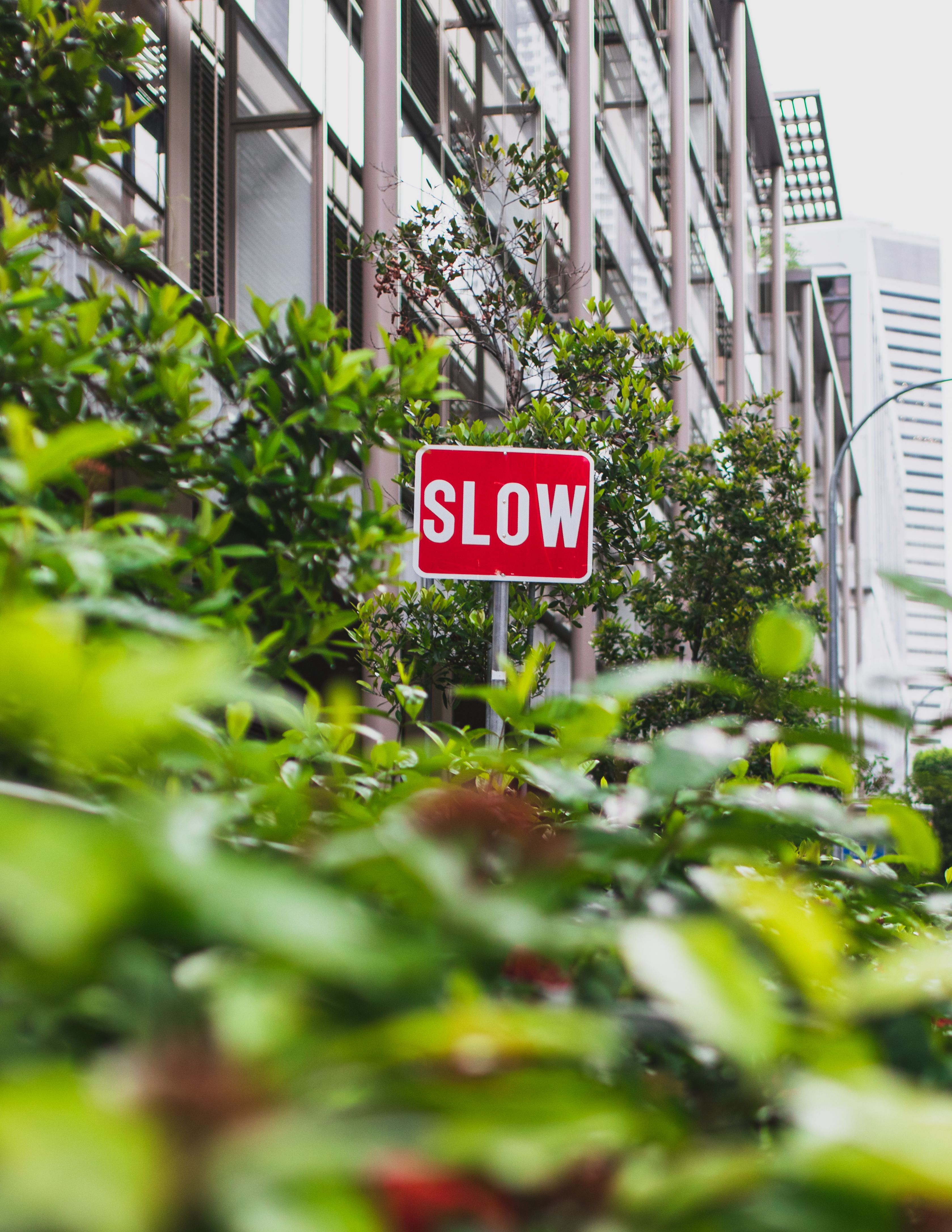 Slow Sign Photos, Download The BEST Free Slow Sign Stock Photos & HD Images