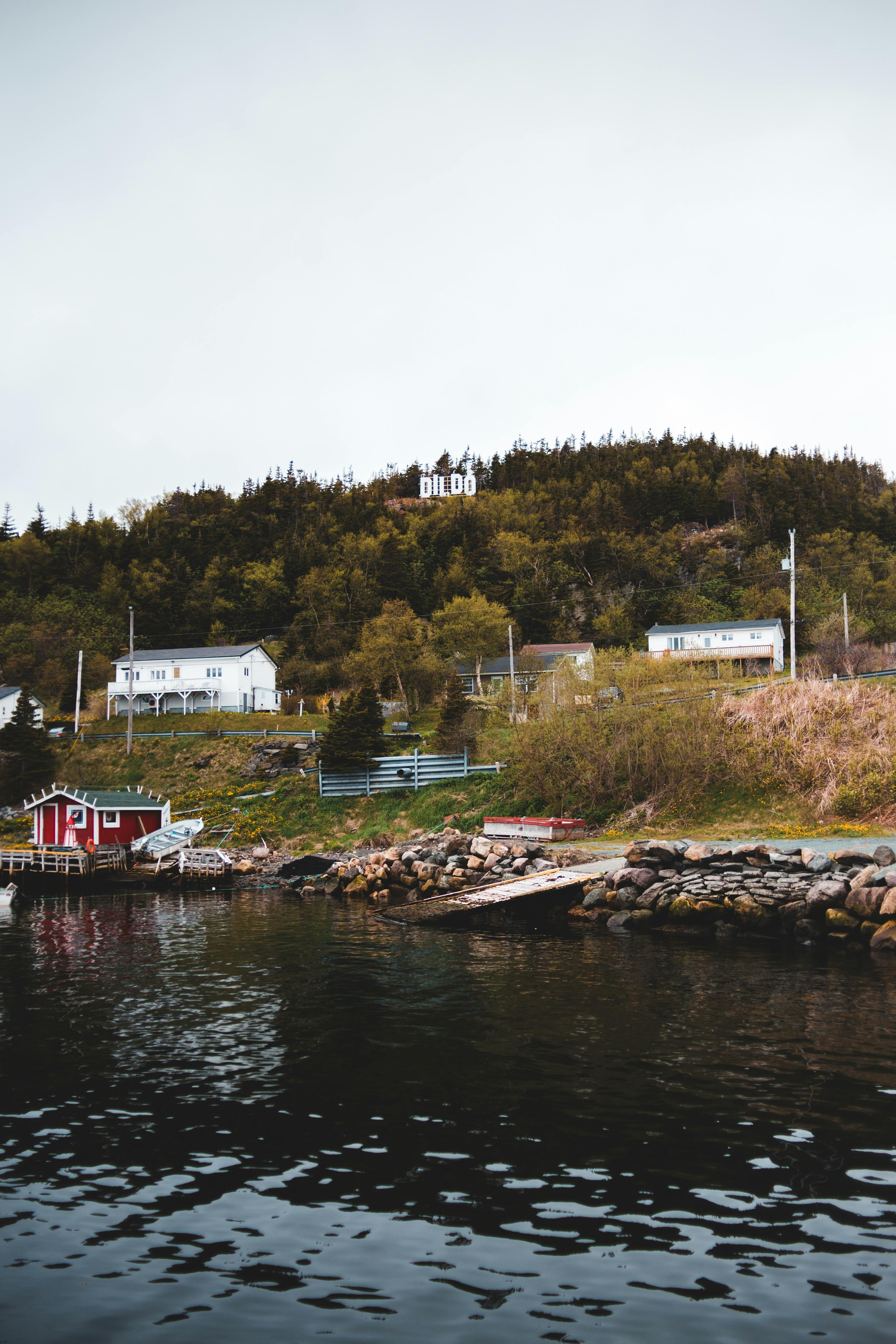 Small village located on river shore · Free Stock Photo