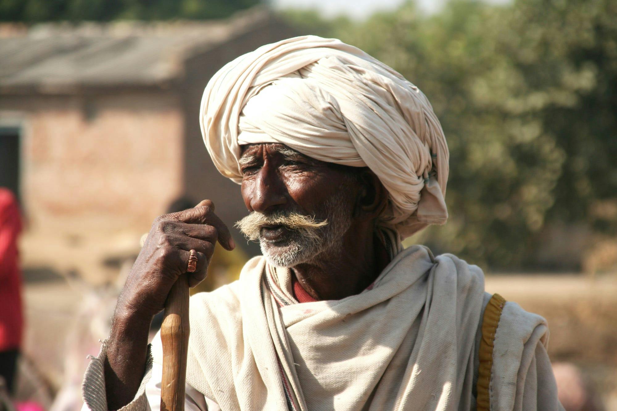 Kostenloses Foto zum Thema: farbe, indien, indisch