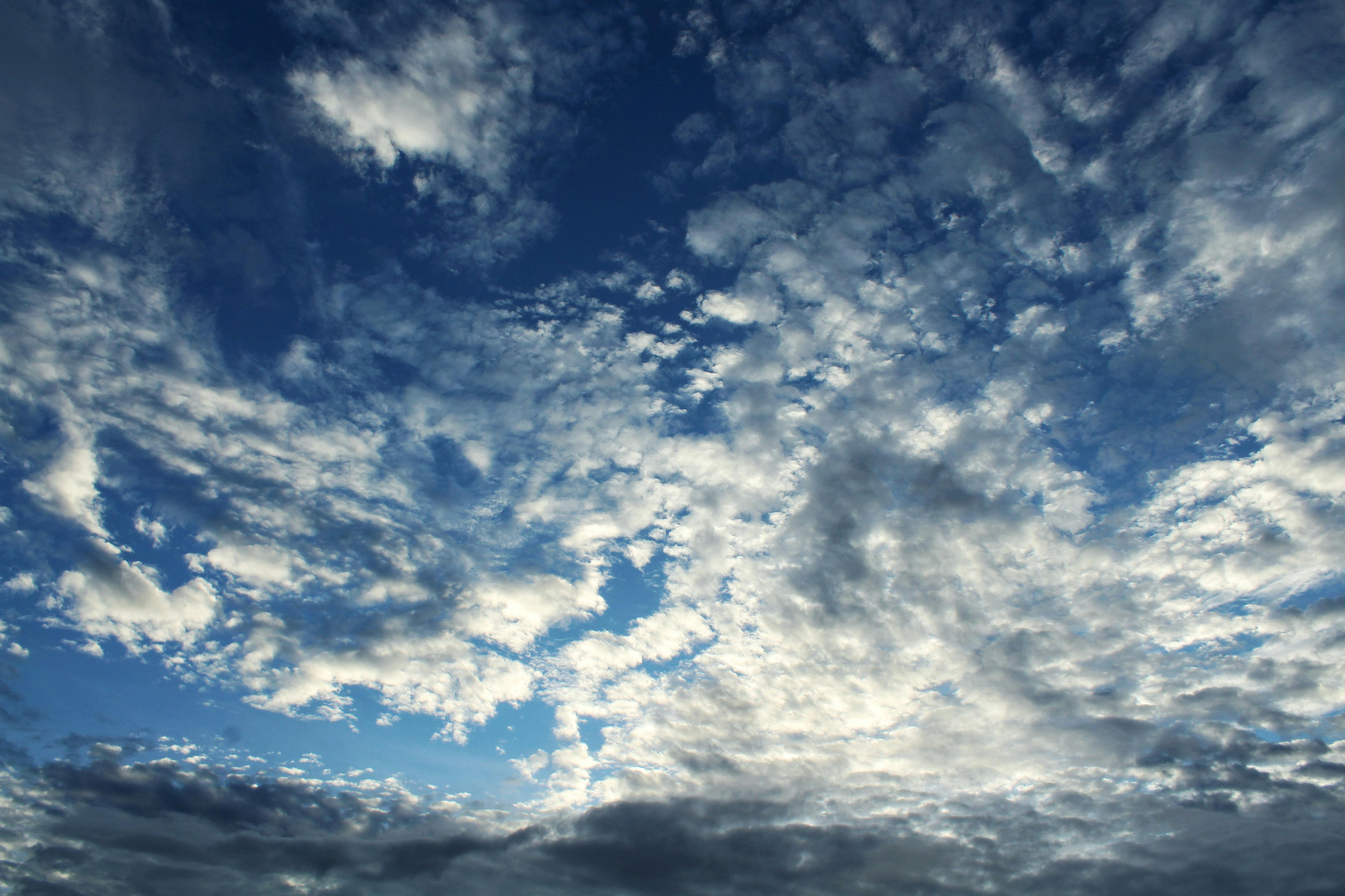 Ankit Patel - Photography