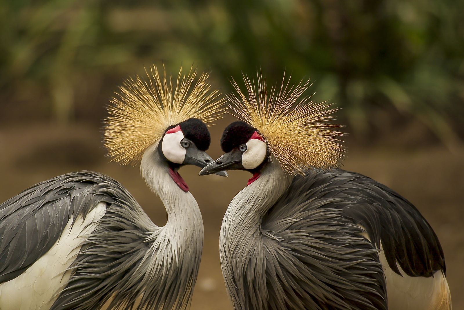 100,000+ Best Beautiful Images & Pictures · 100% Free Download · Pexels ...