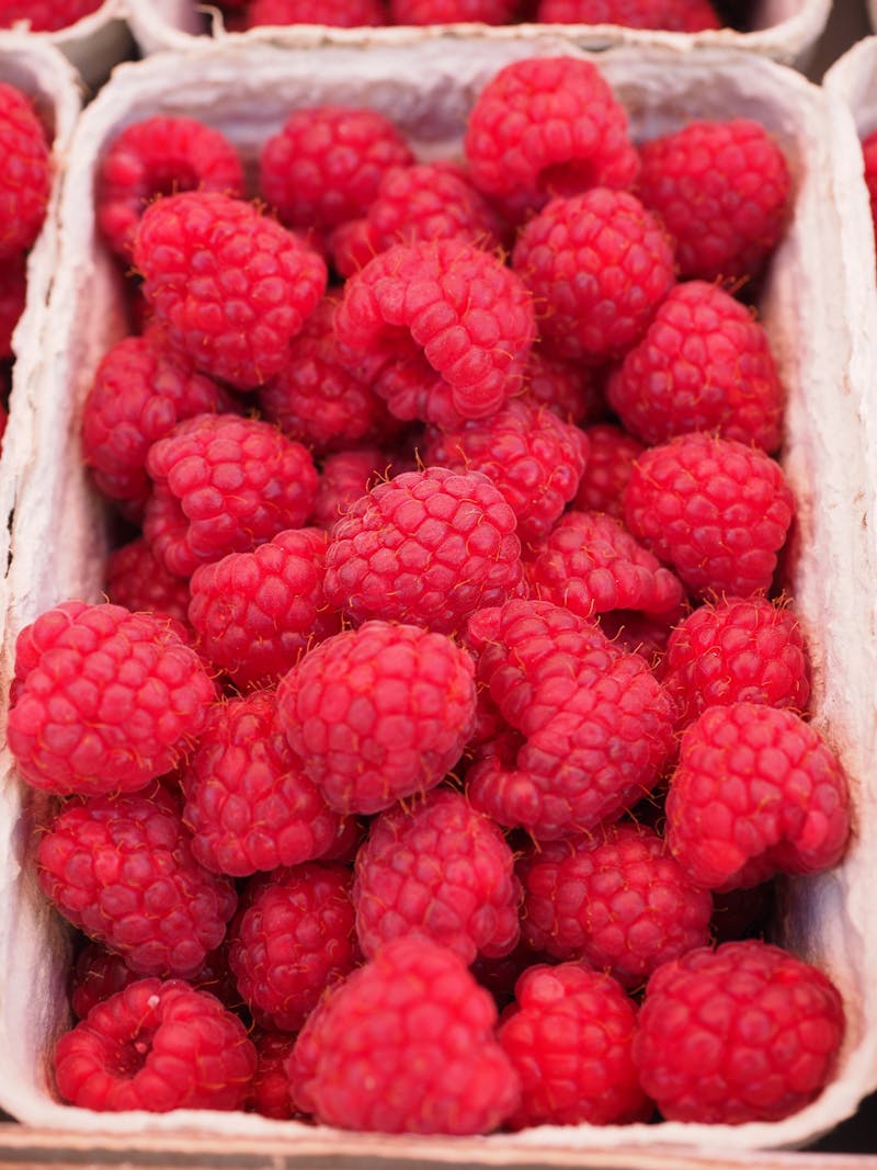 Raspberries Photos, Download The BEST Free Raspberries Stock Photos ...