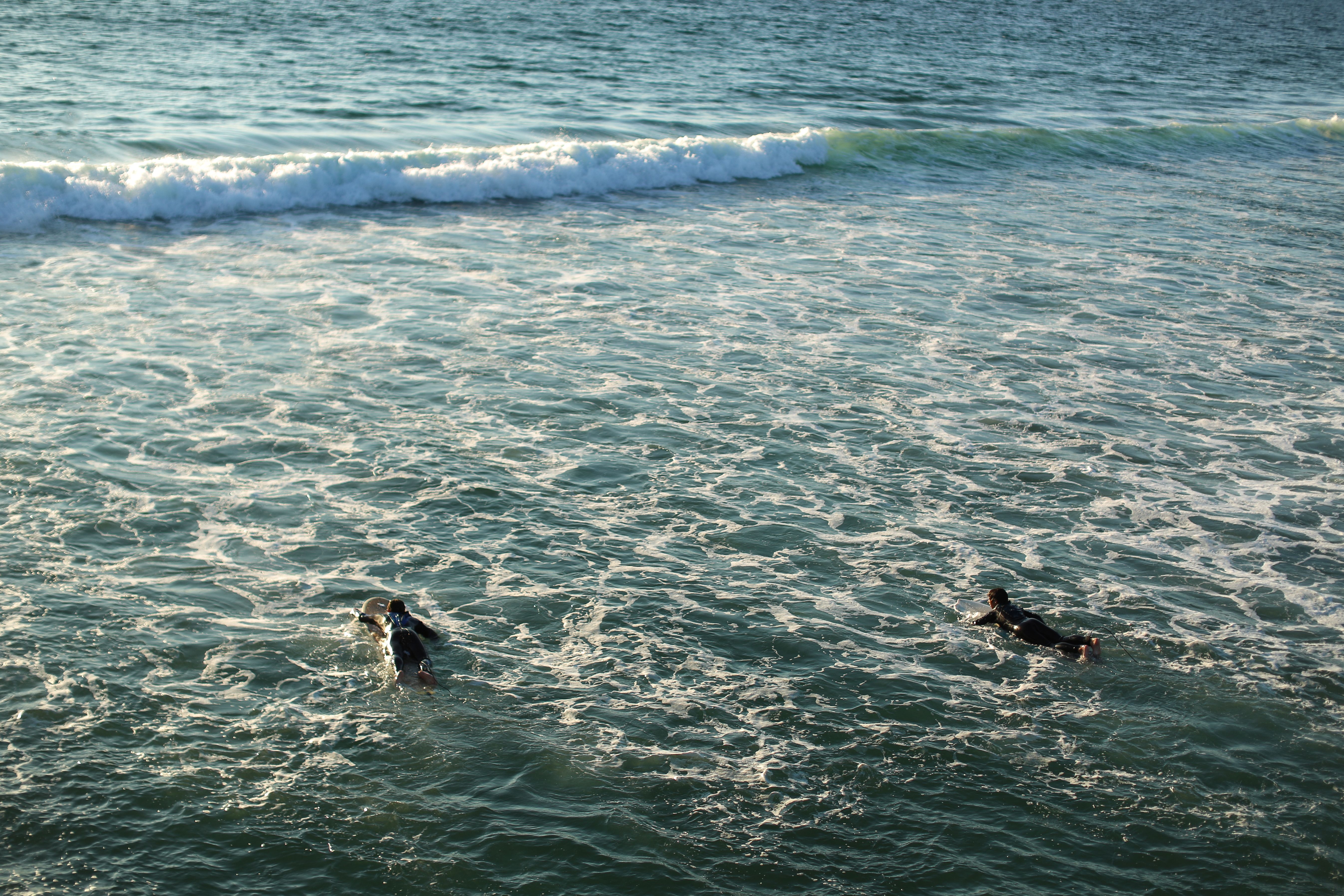 People Swimming Out Into Ocean · Free Stock Photo