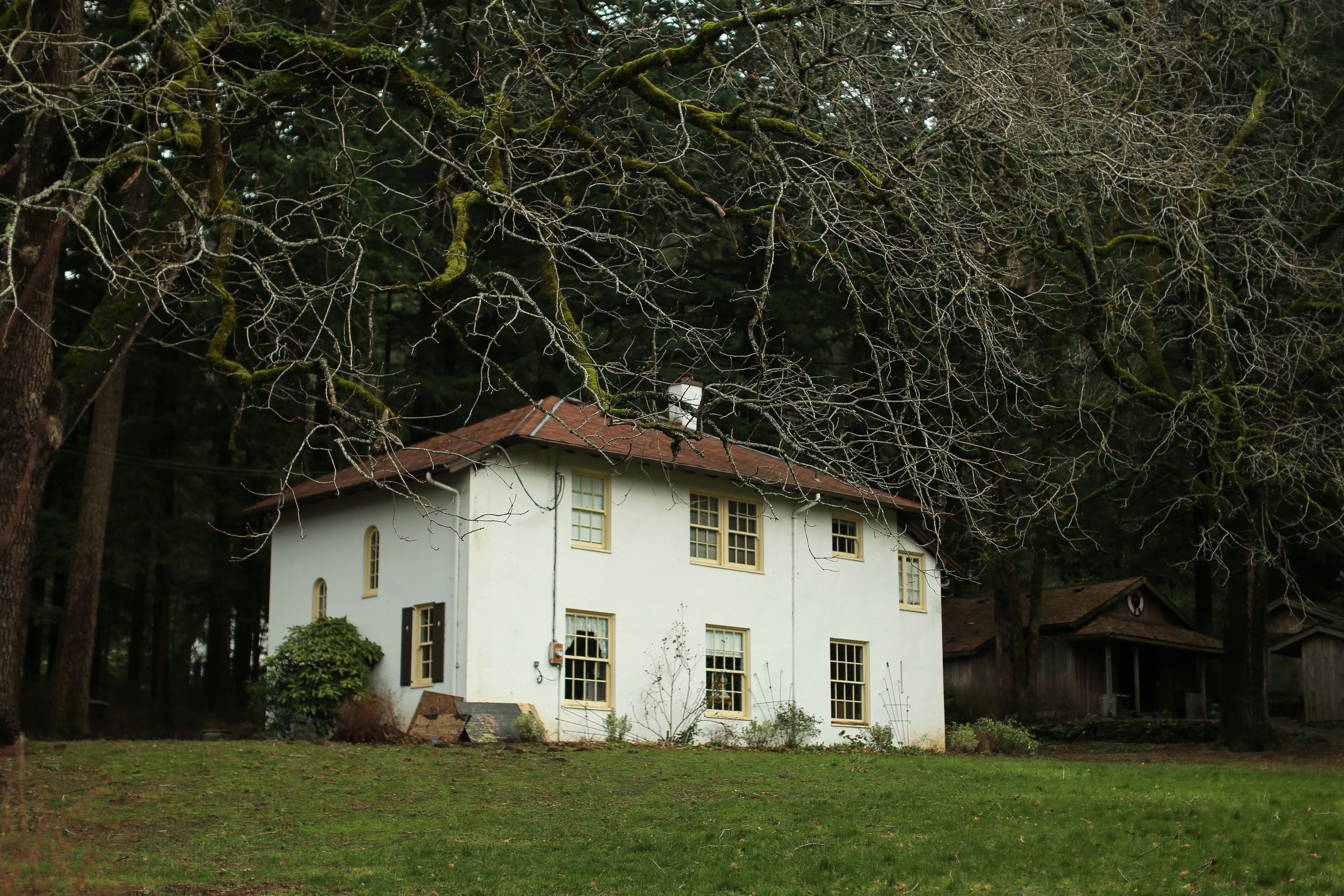 Woody House Photos, Download The BEST Free Woody House Stock Photos ...