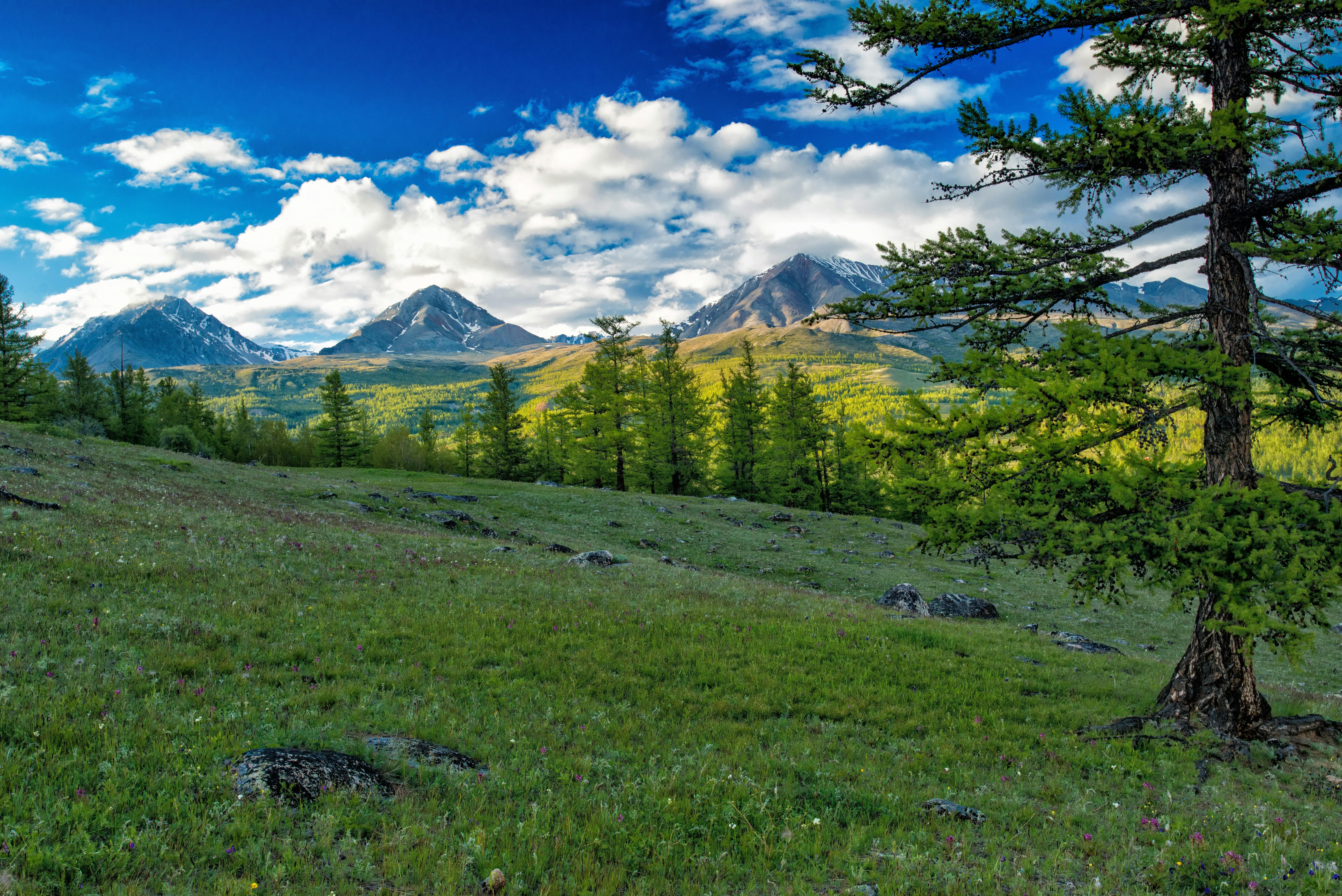 Beautiful Mongolia Photos · Pexels · Free Stock Photos