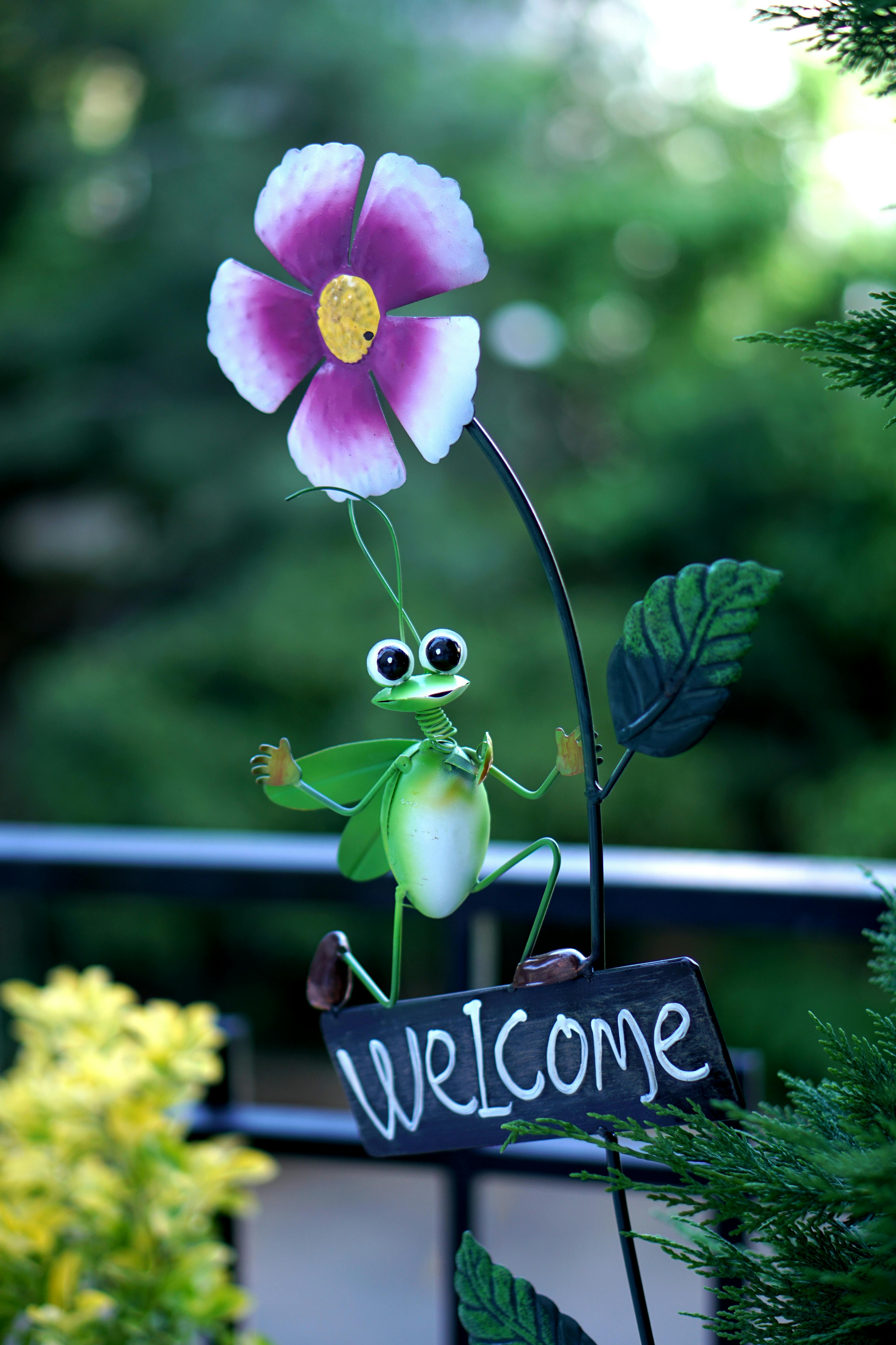 Welcome Flower Photos, Download The BEST Free Welcome Flower Stock ...