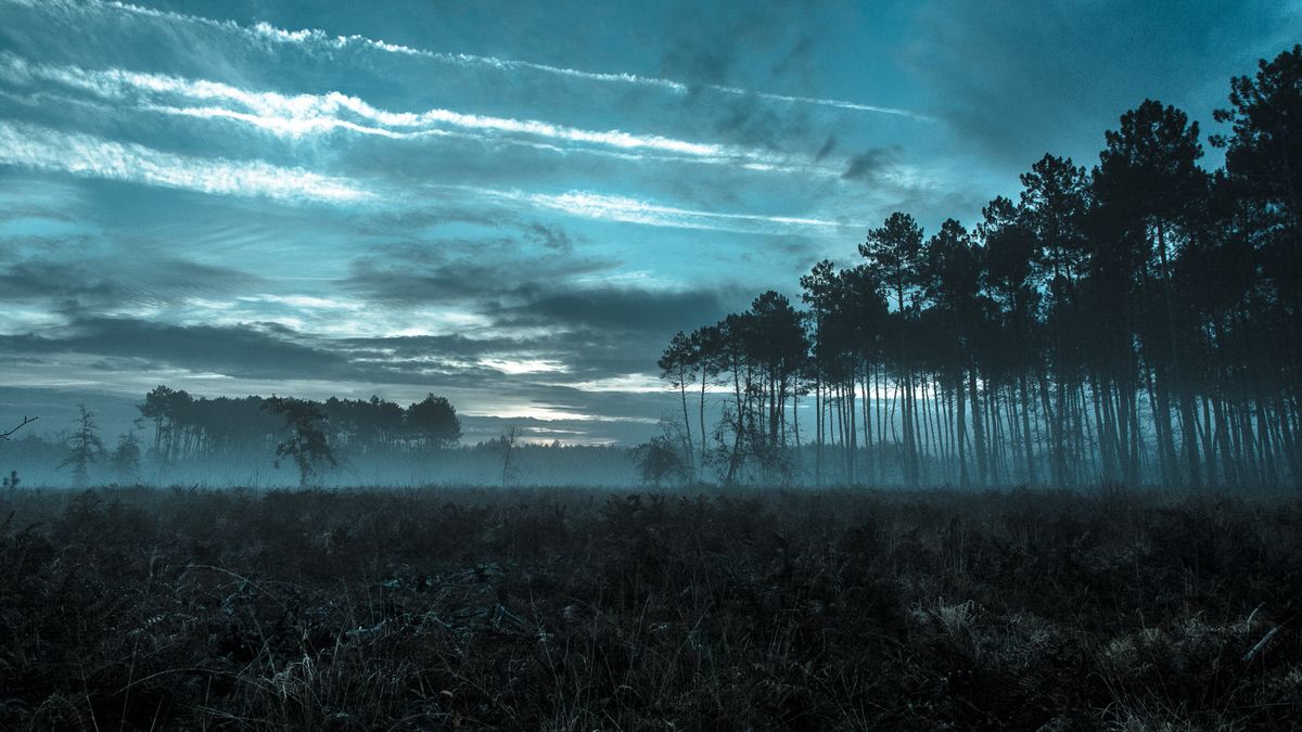 Dark Landscape Photos, Download The BEST Free Dark Landscape Stock ...