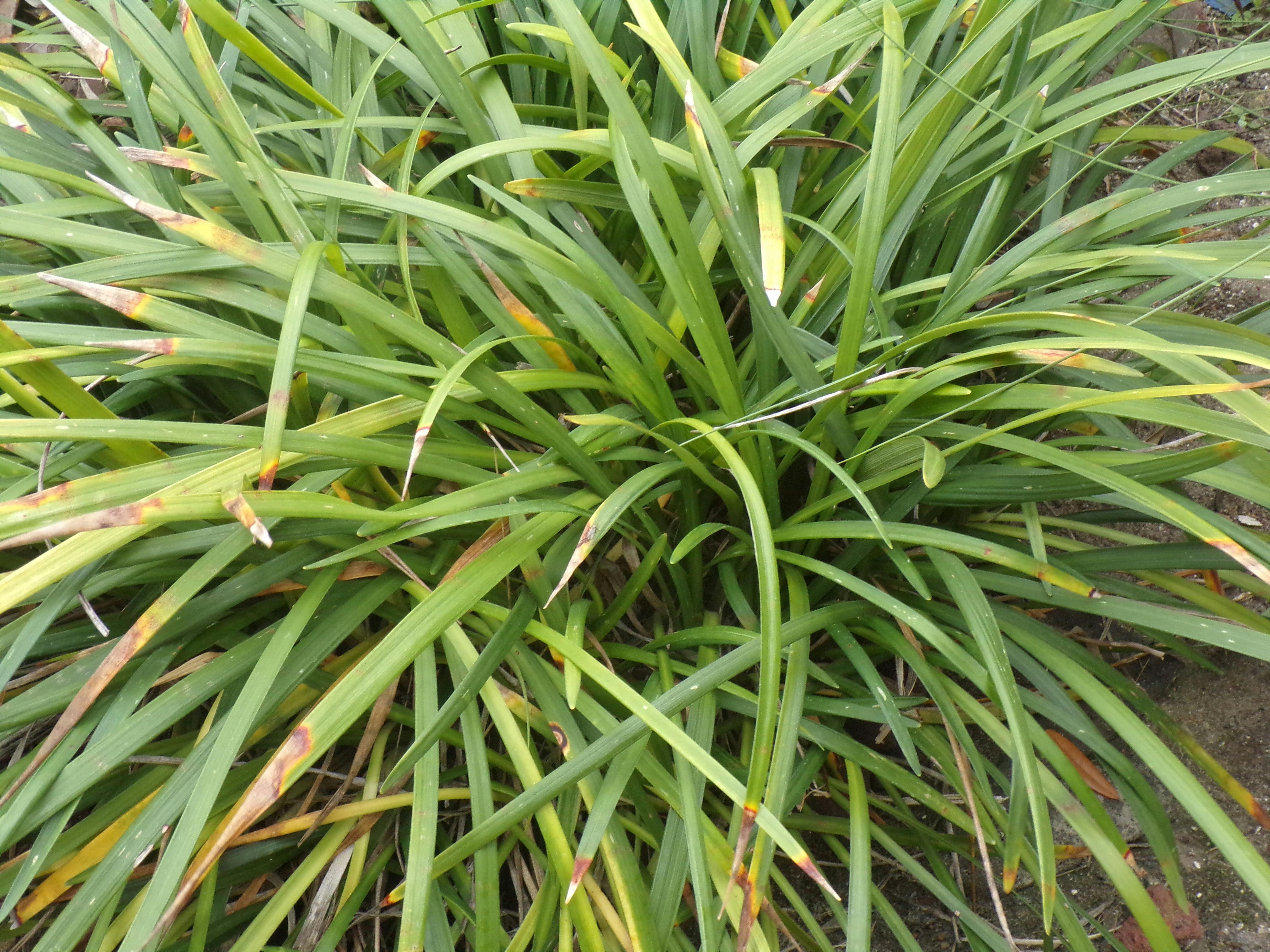 Nature 5 Photos & Videos Collected by Zamaie Chinye