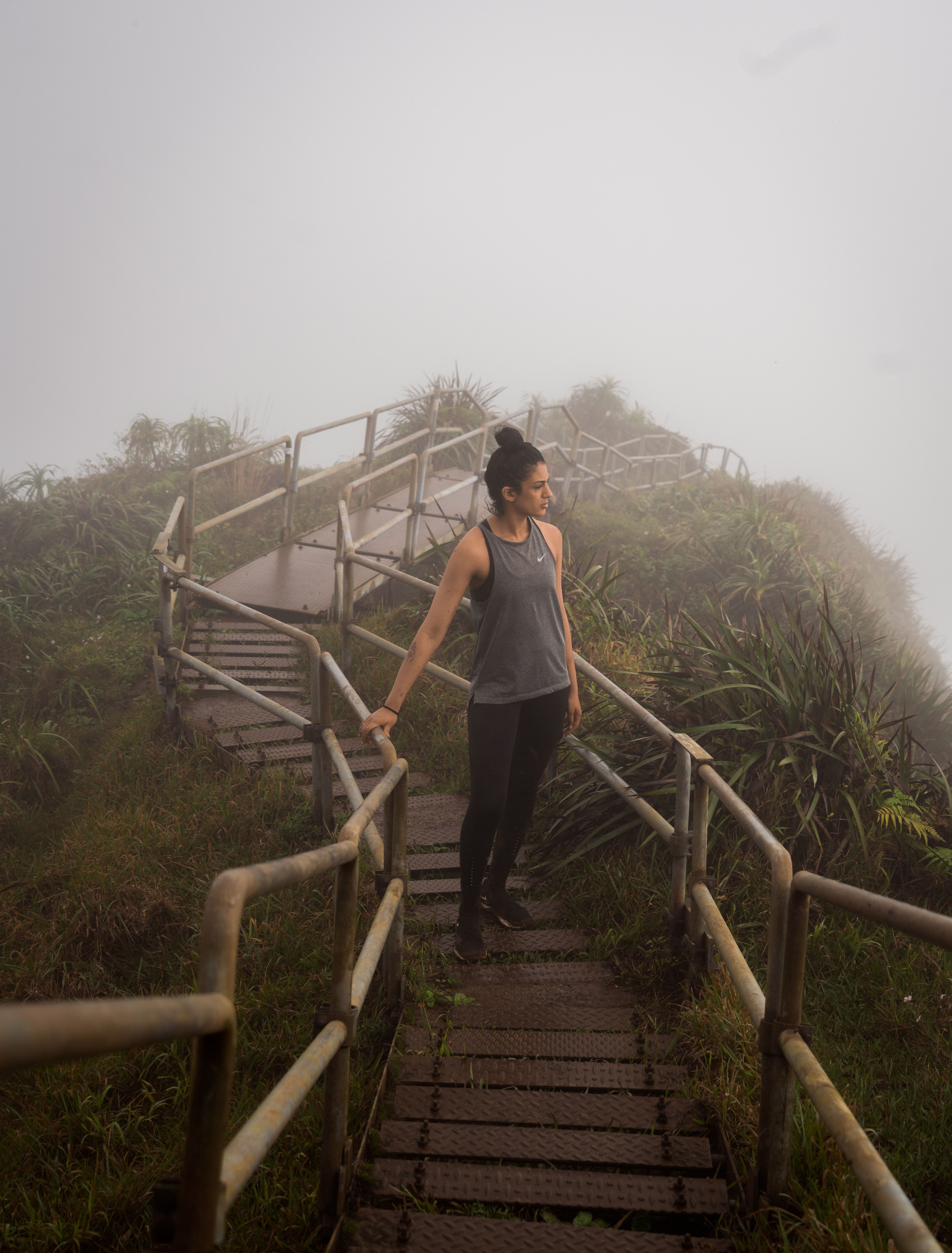 Overcast Weather In Day Jungle Photos, Download The BEST Free Overcast ...